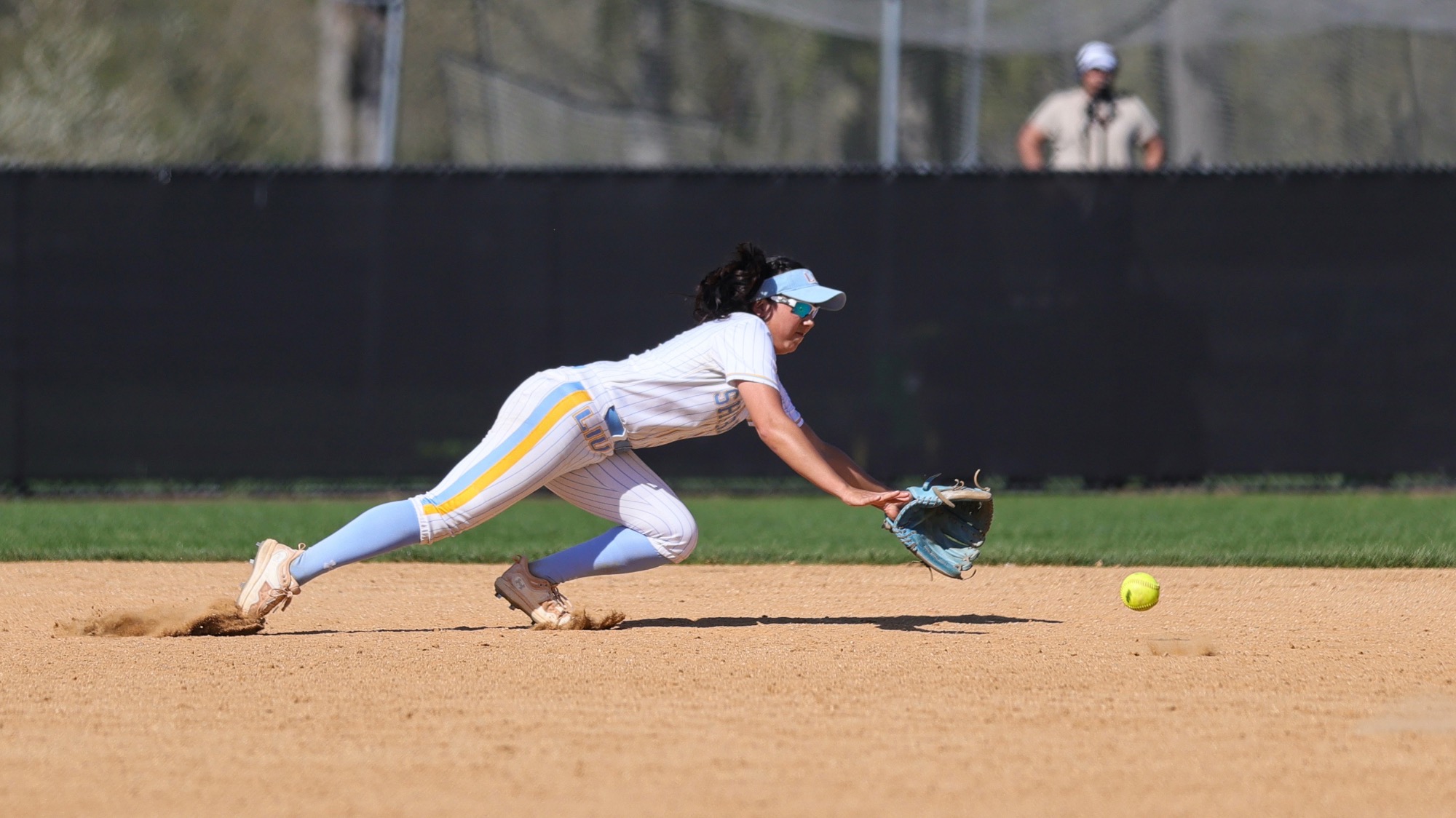 Long Island University Athletics