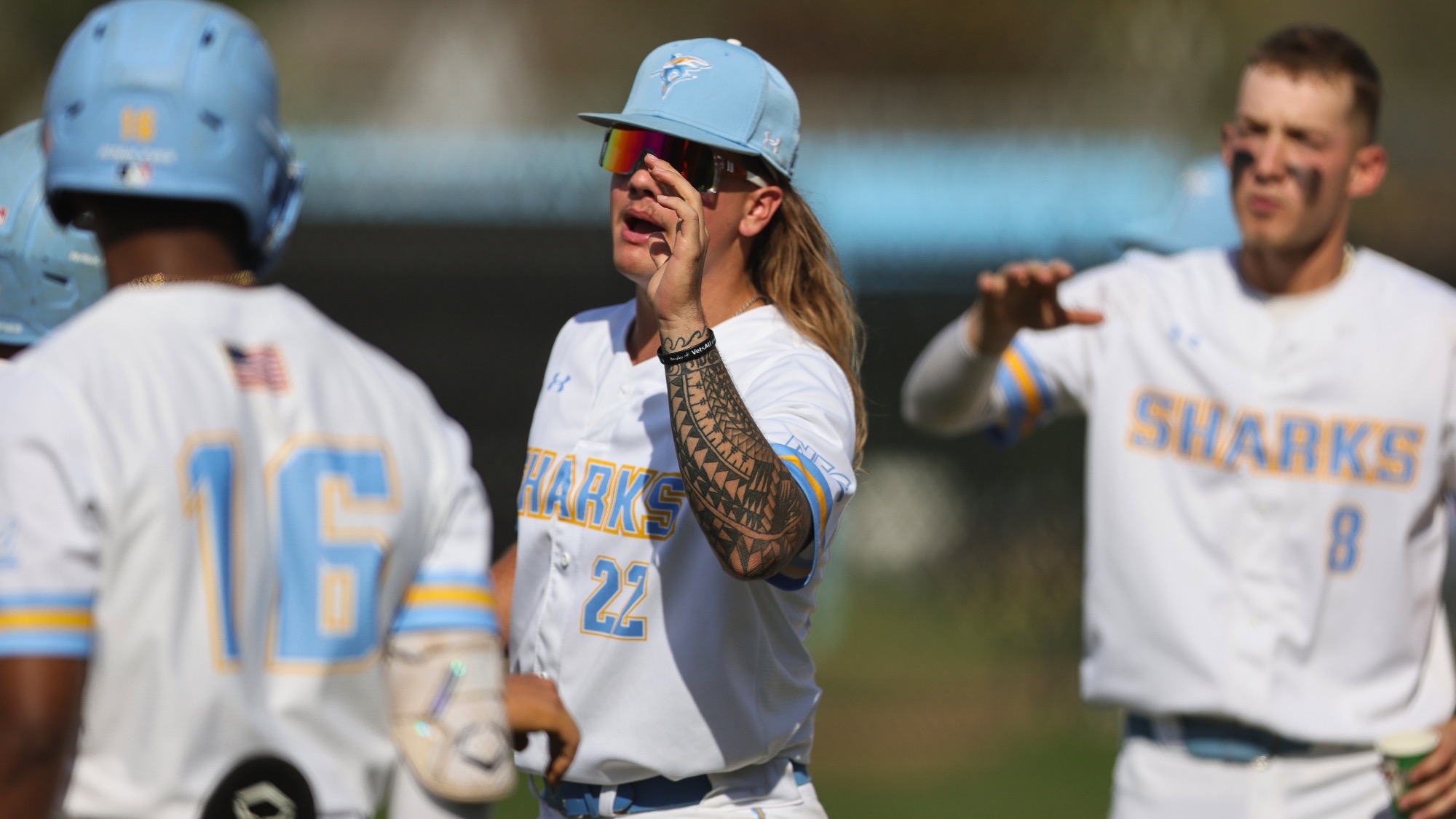 Long Island University Athletics