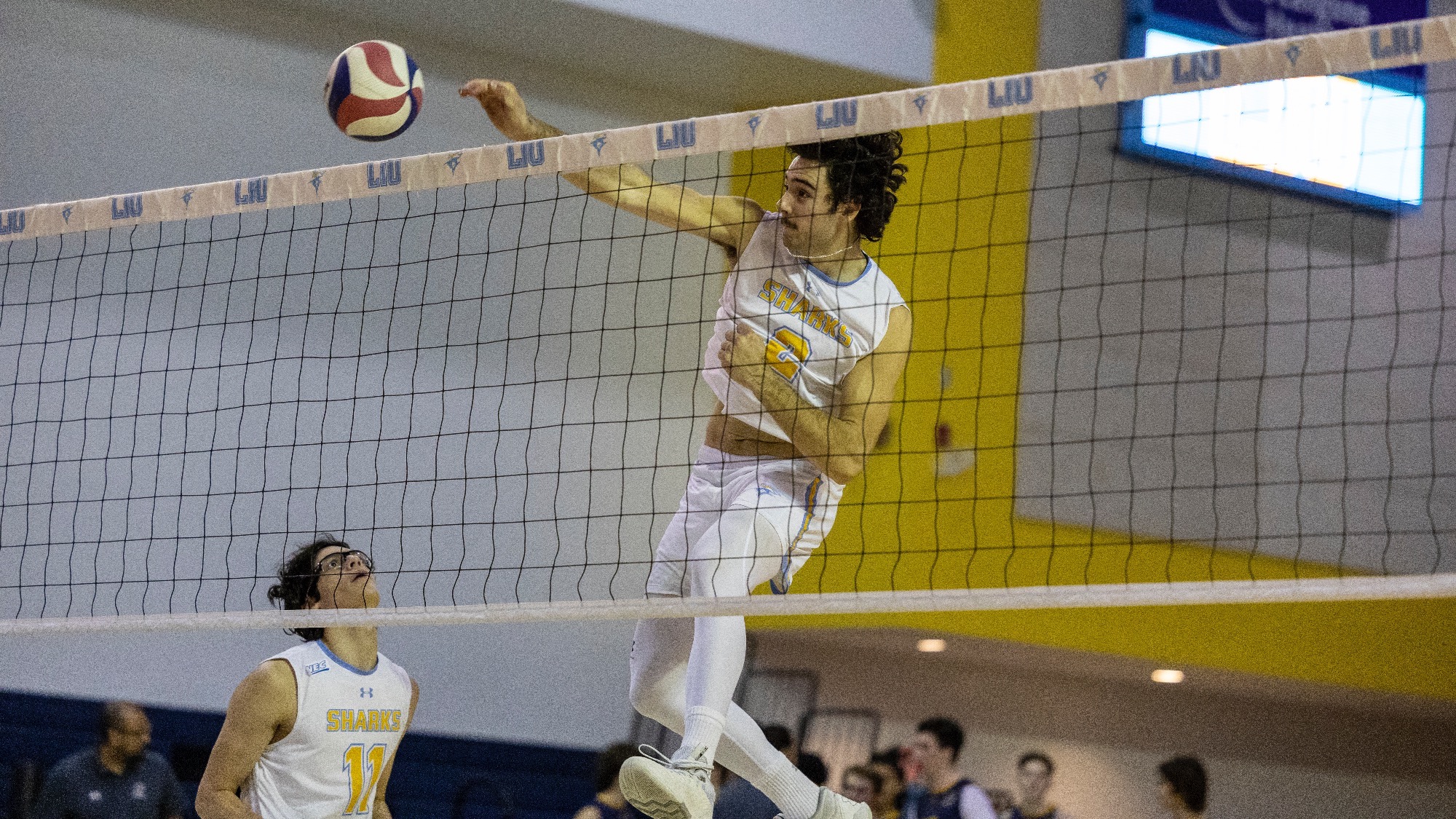 Long Island University Athletics