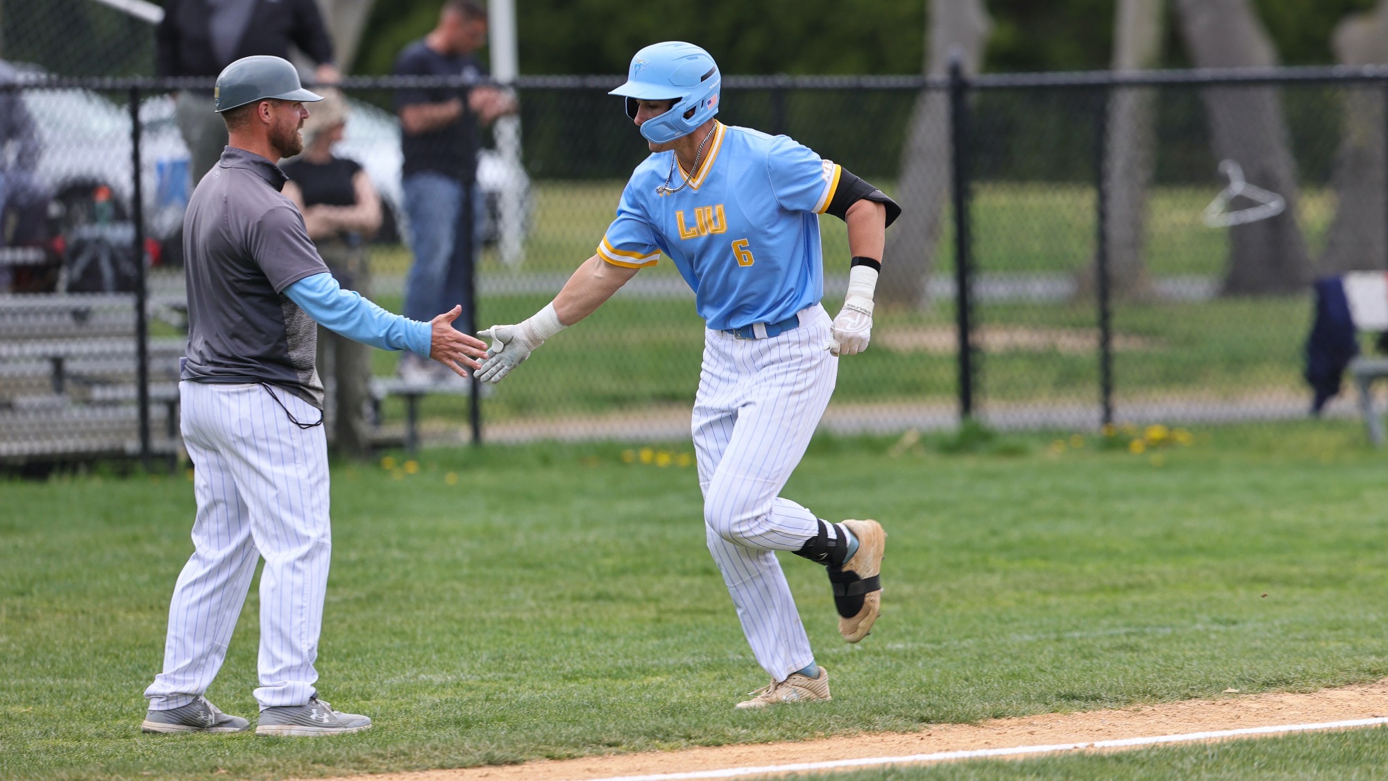 Long Island University Athletics