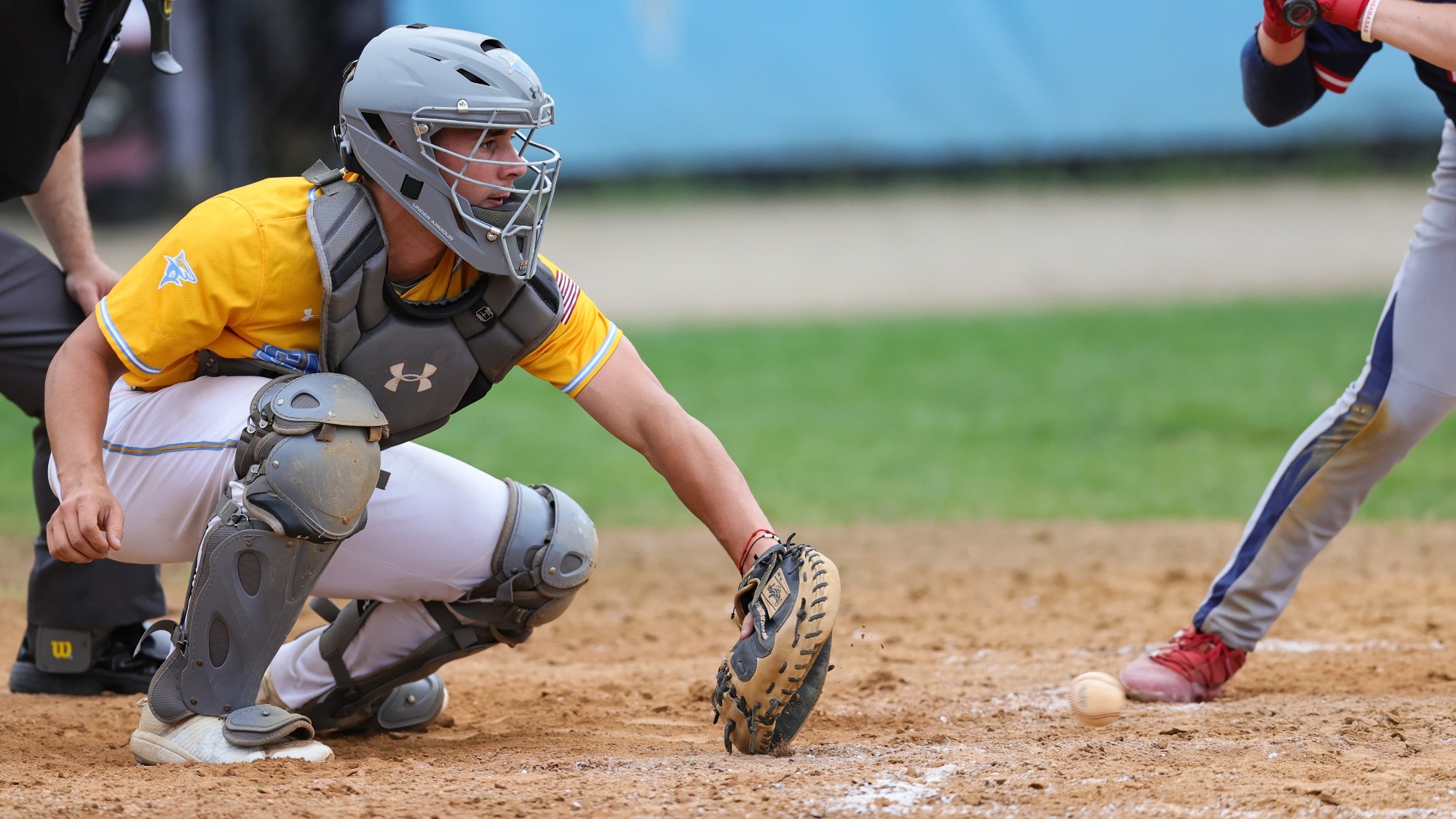 Long Island University Athletics