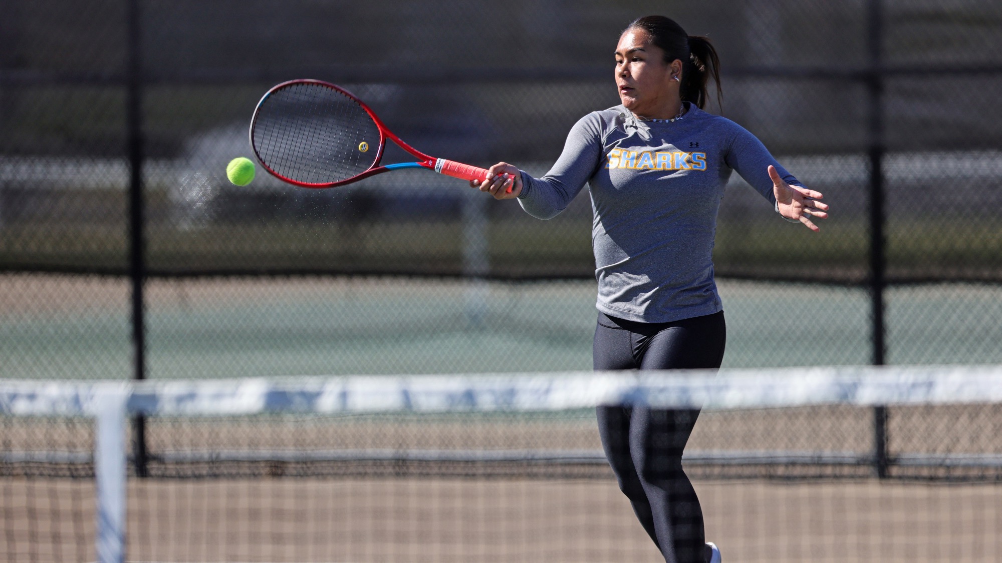 Long Island University Athletics