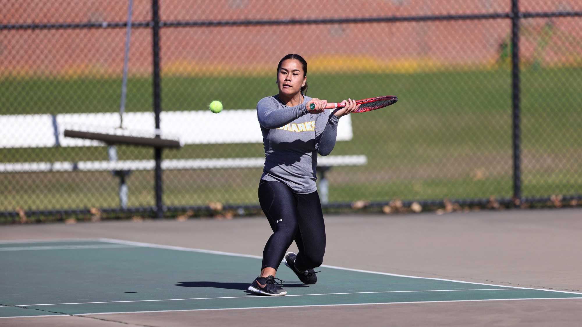 Long Island University Athletics