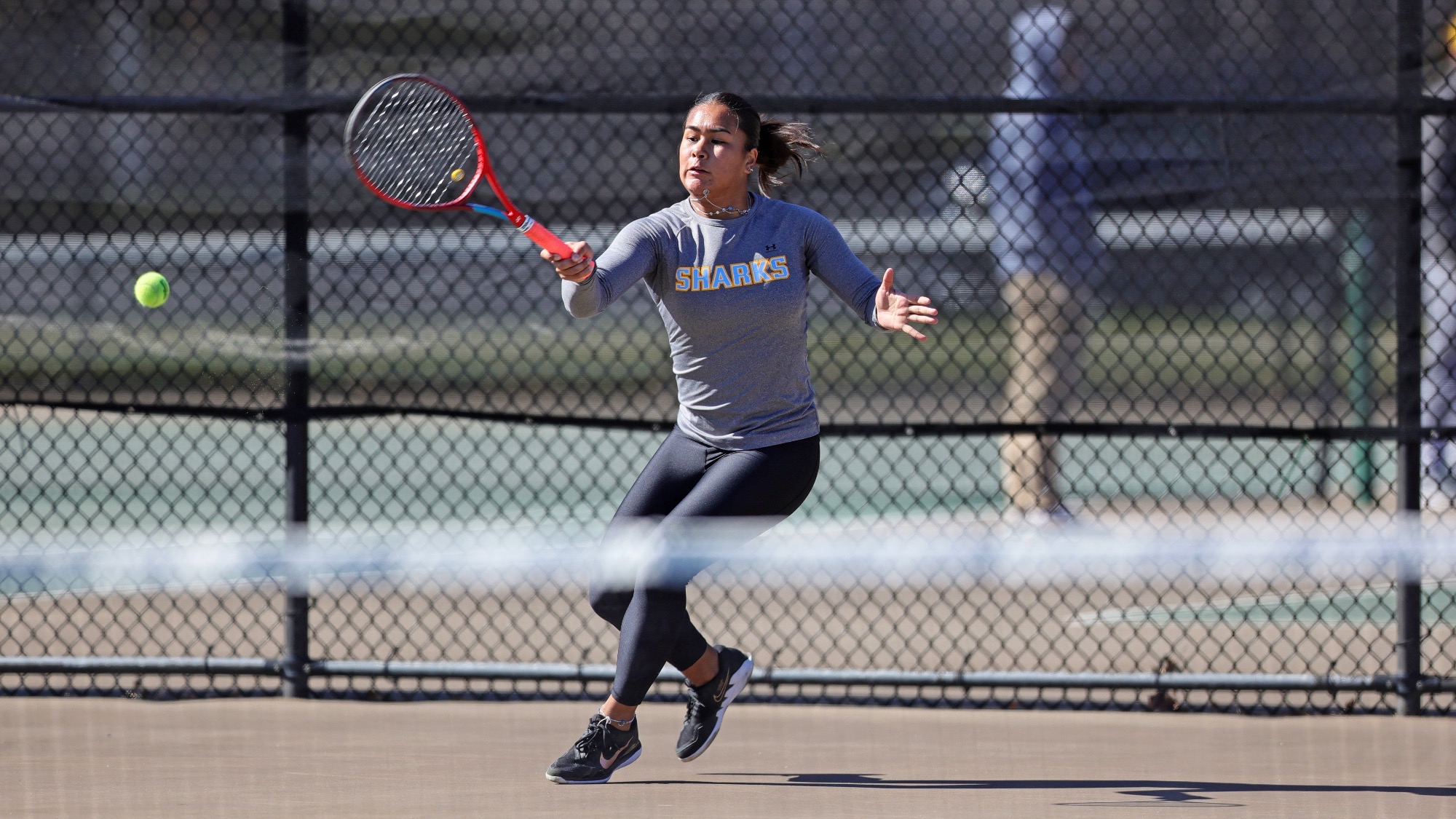 Long Island University Athletics