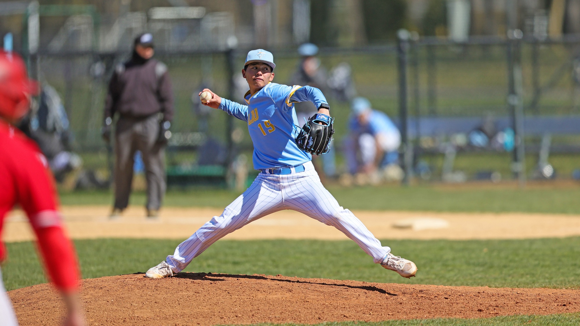 Long Island University Athletics