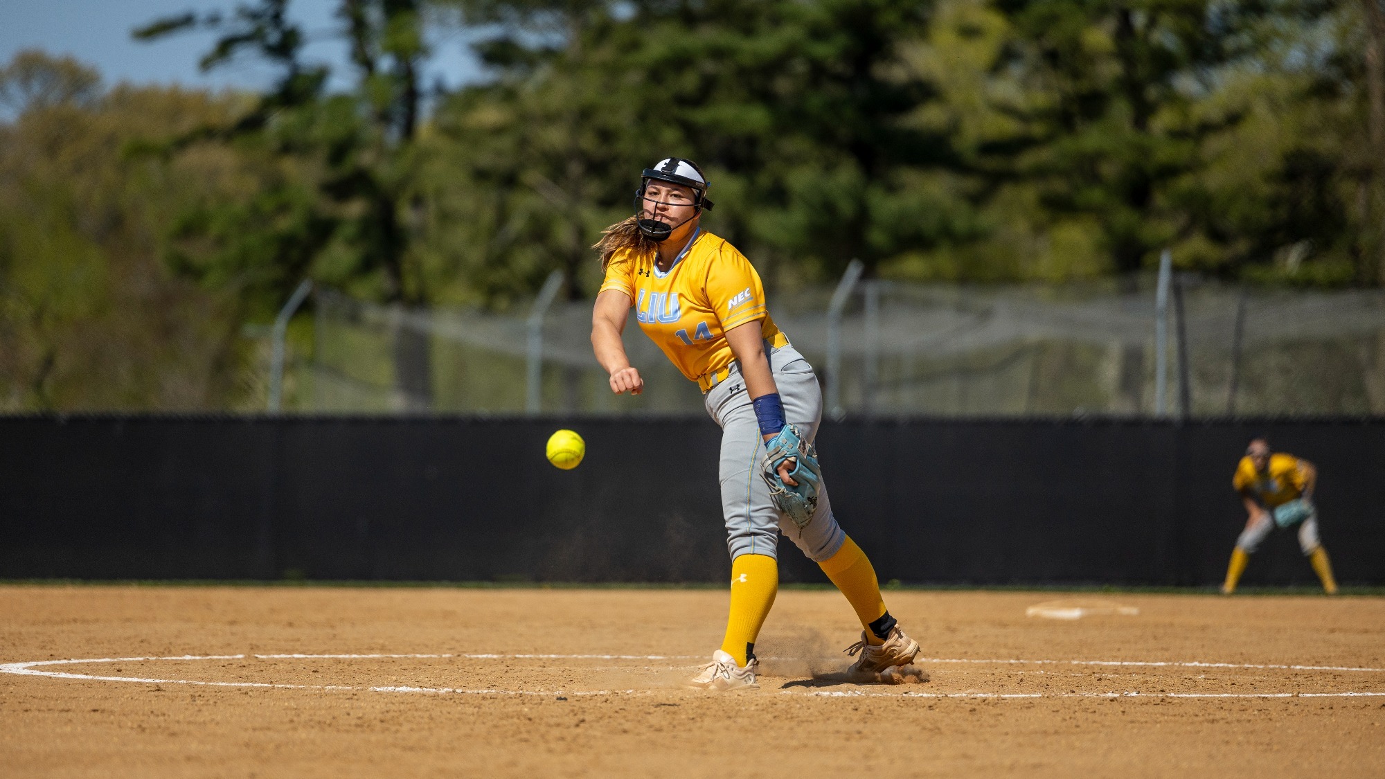 Long Island University Athletics