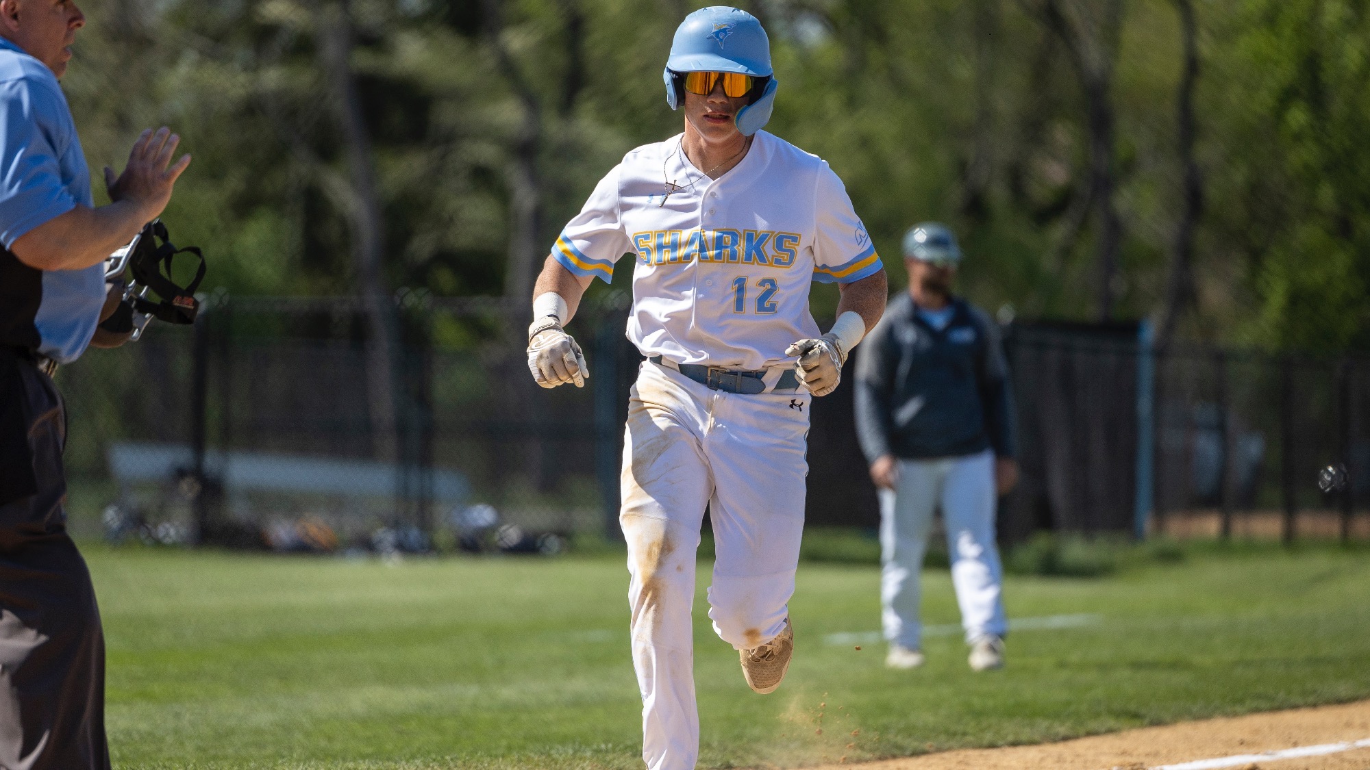 Long Island University Athletics