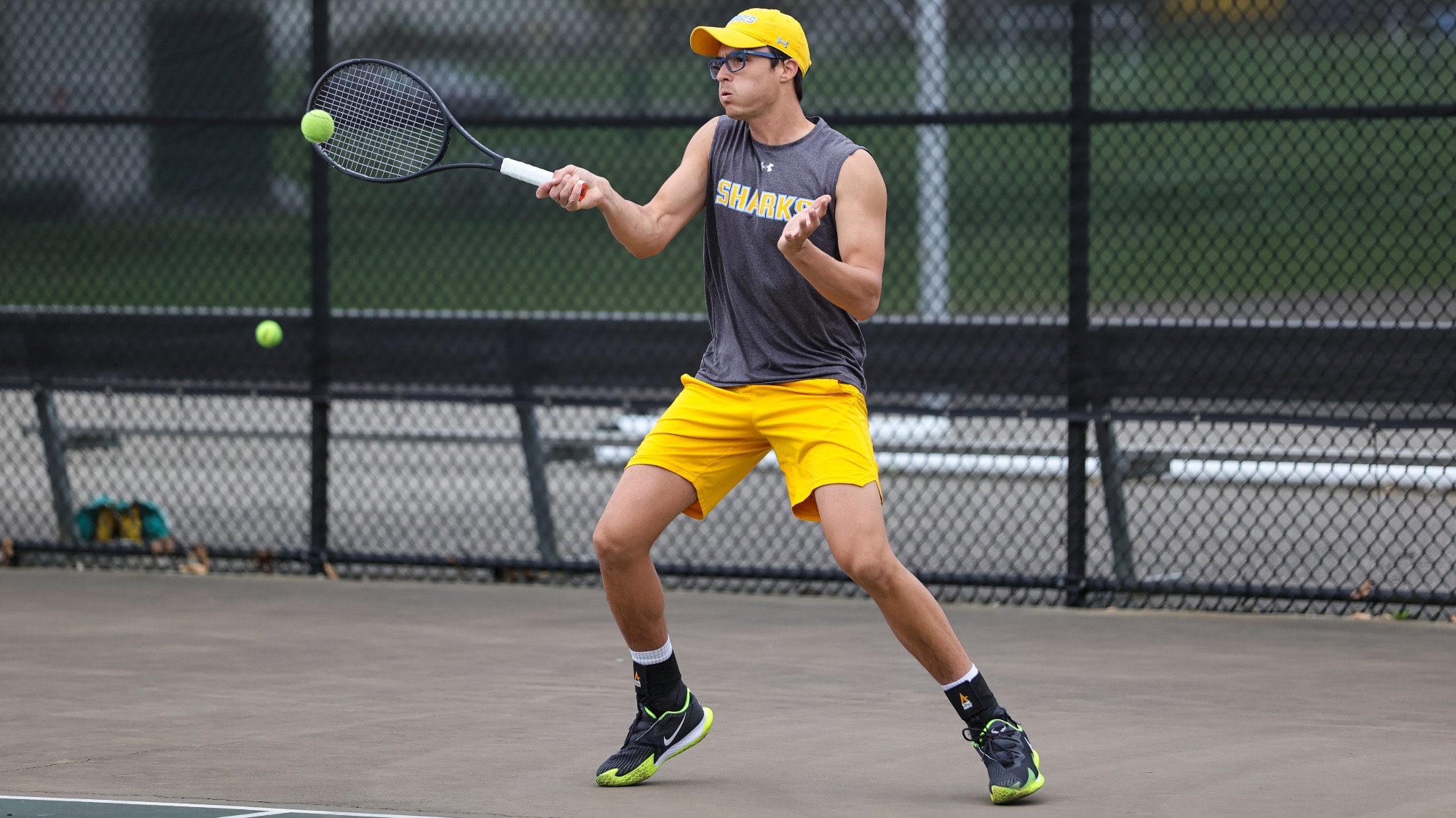 Long Island University Athletics