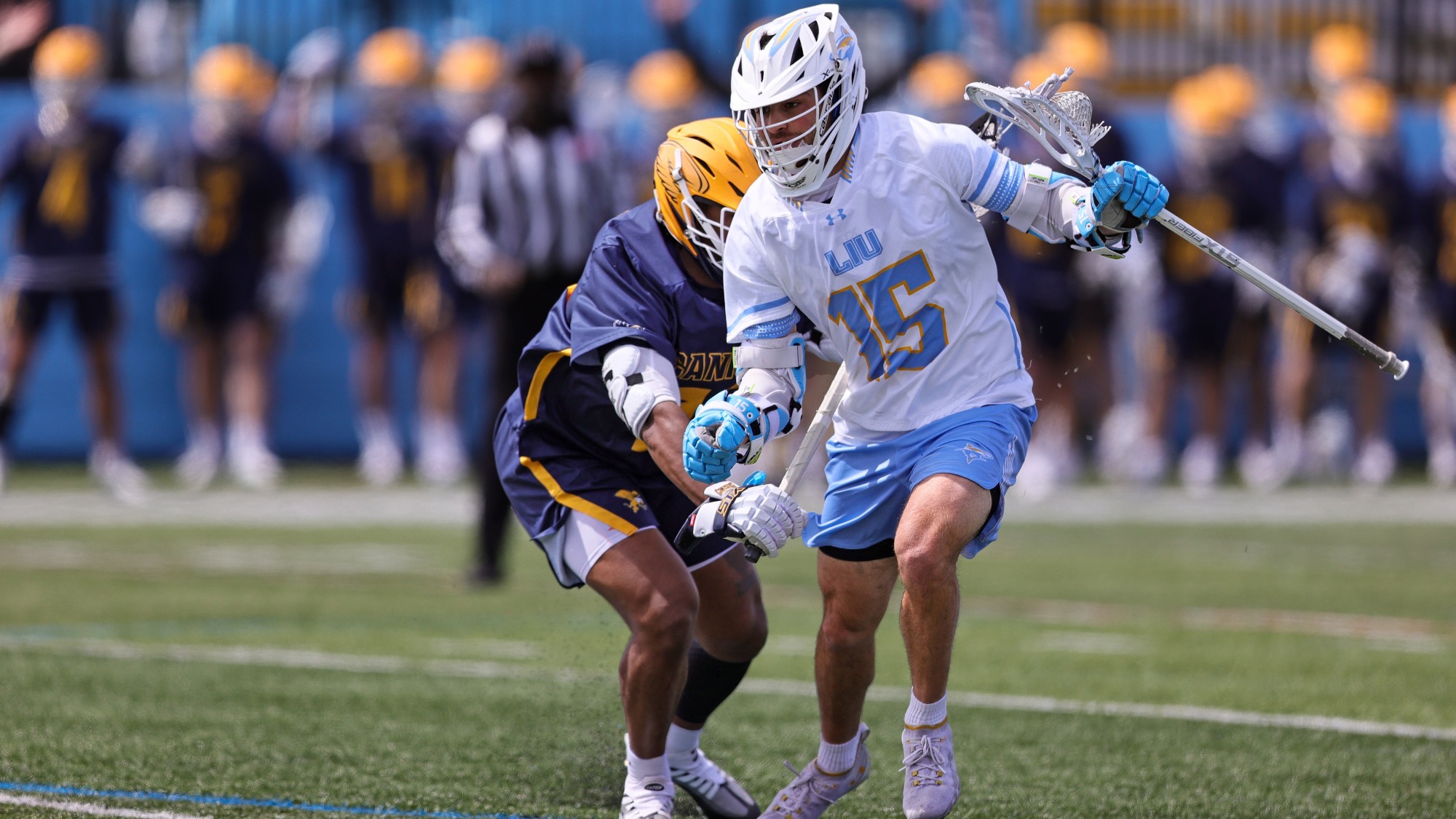 Long Island University Athletics