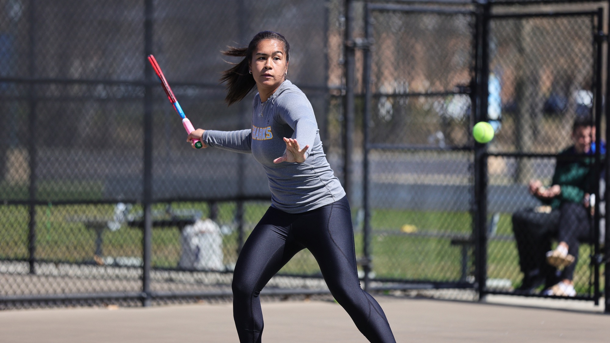 Long Island University Athletics