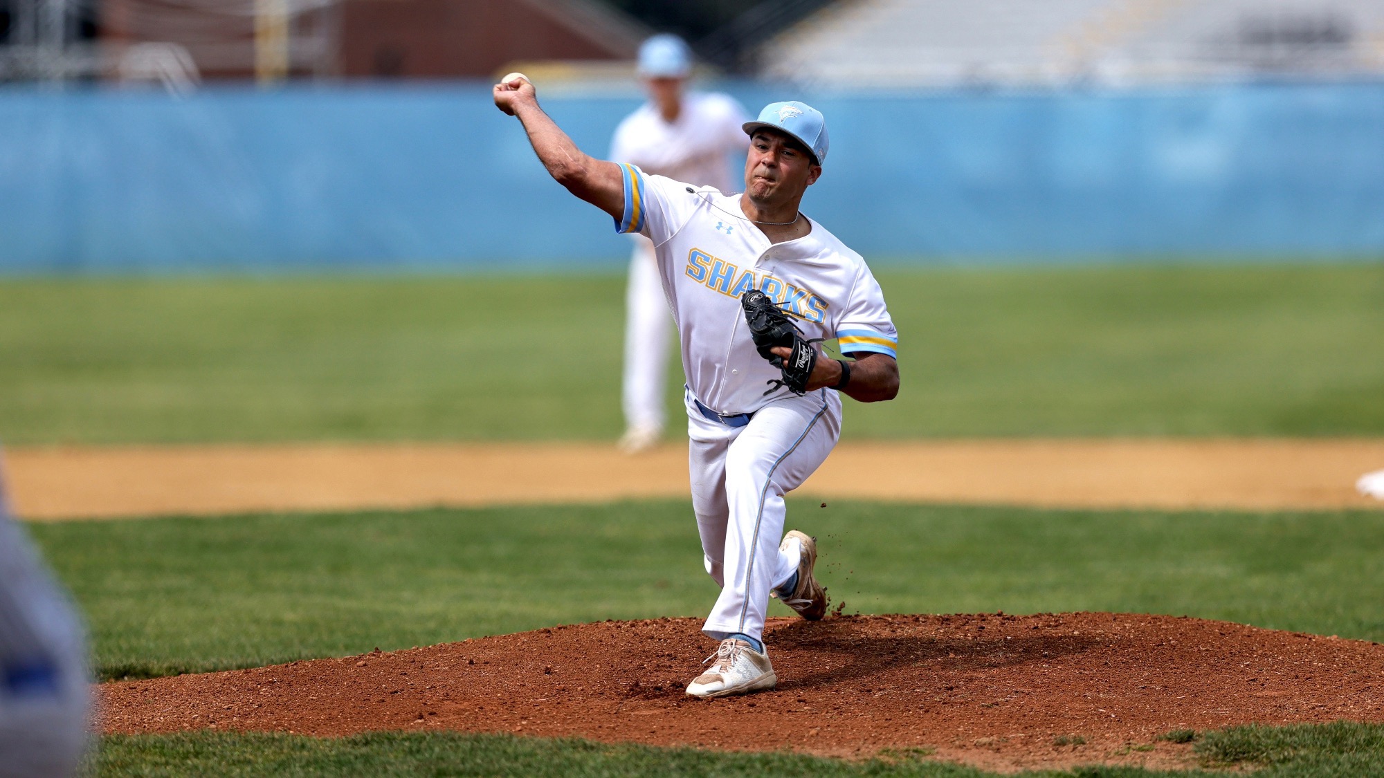 Long Island University Athletics