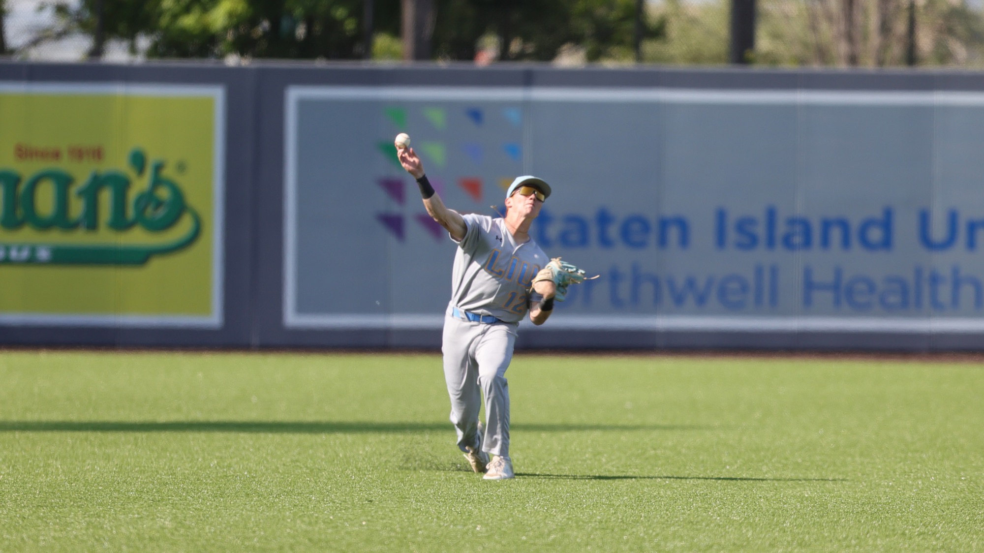 Long Island University Athletics