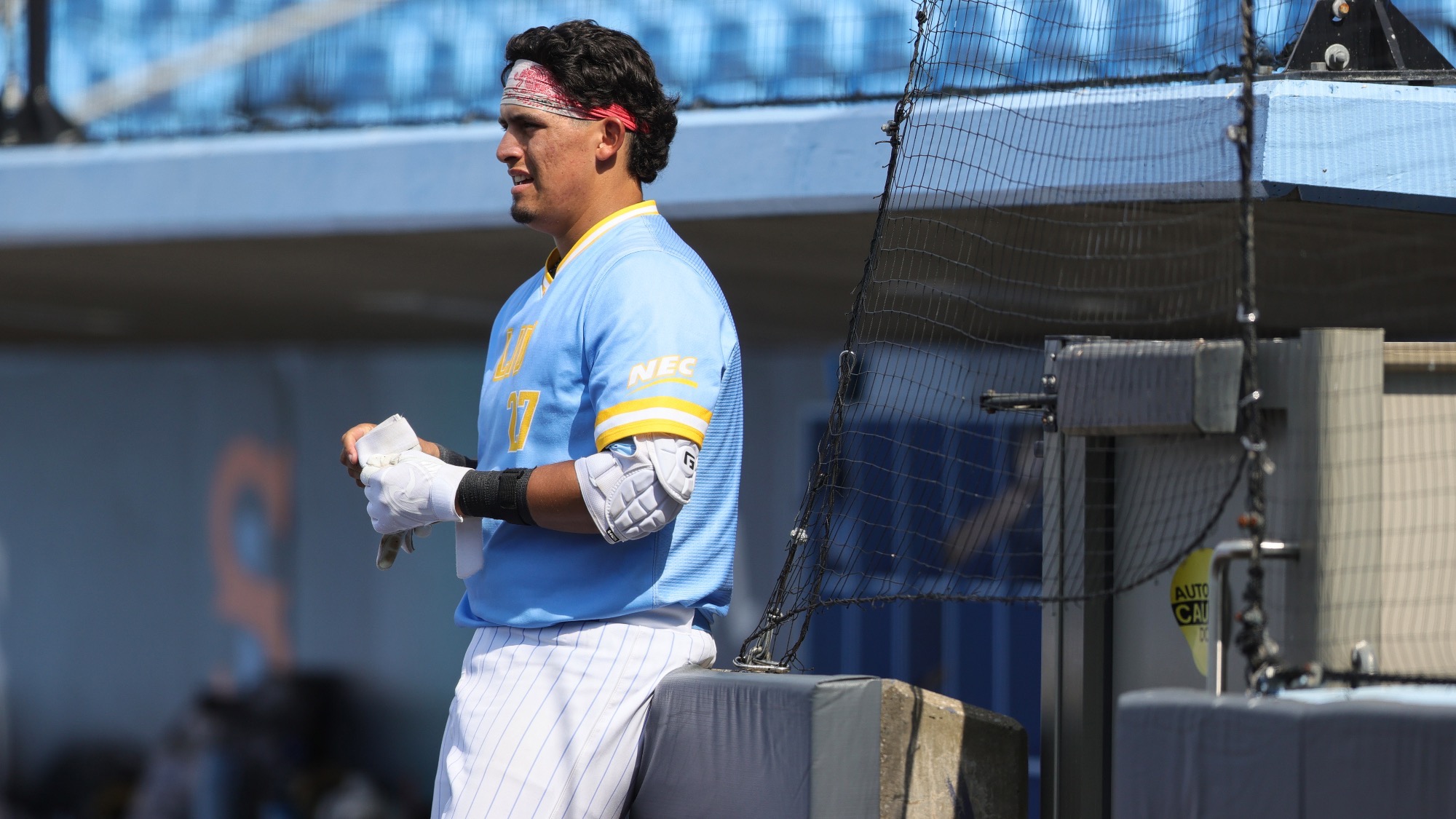 Long Island University Athletics