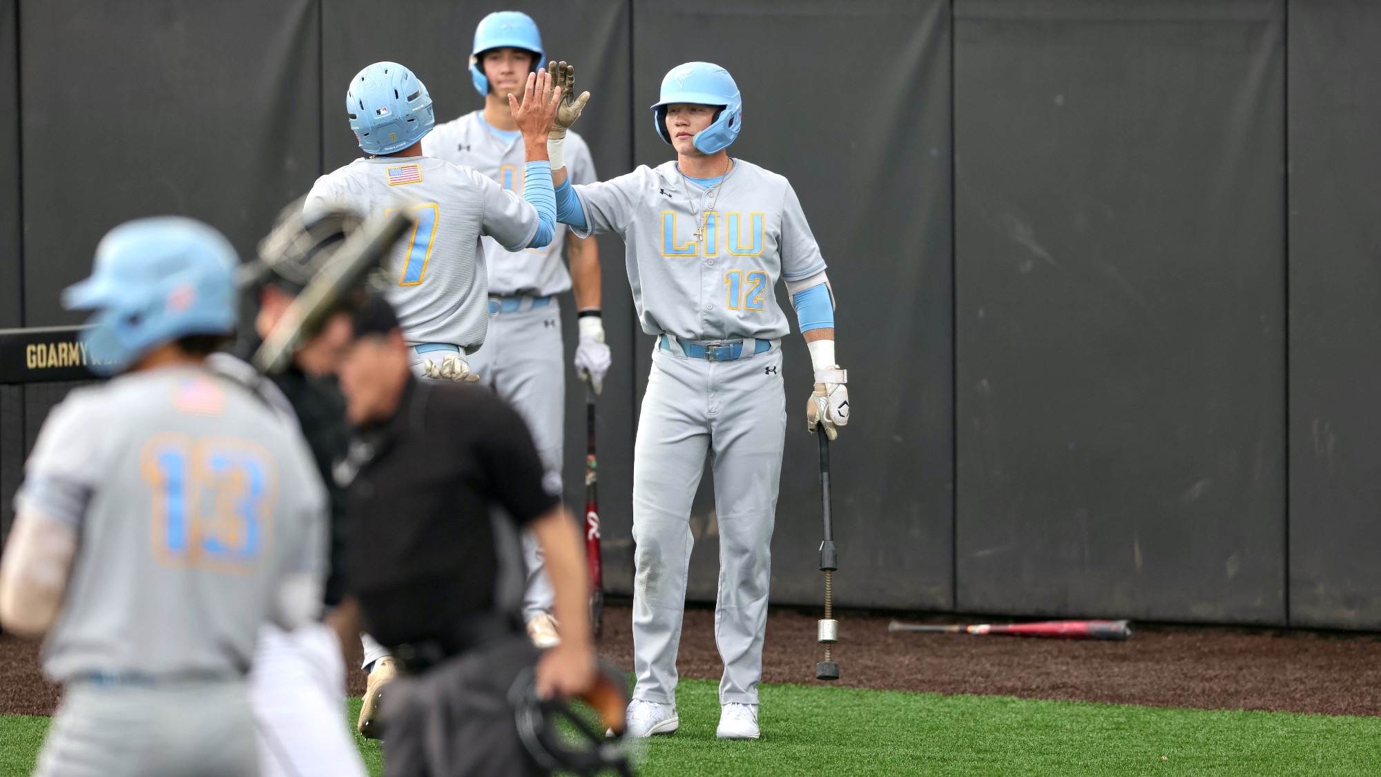 Long Island University Athletics