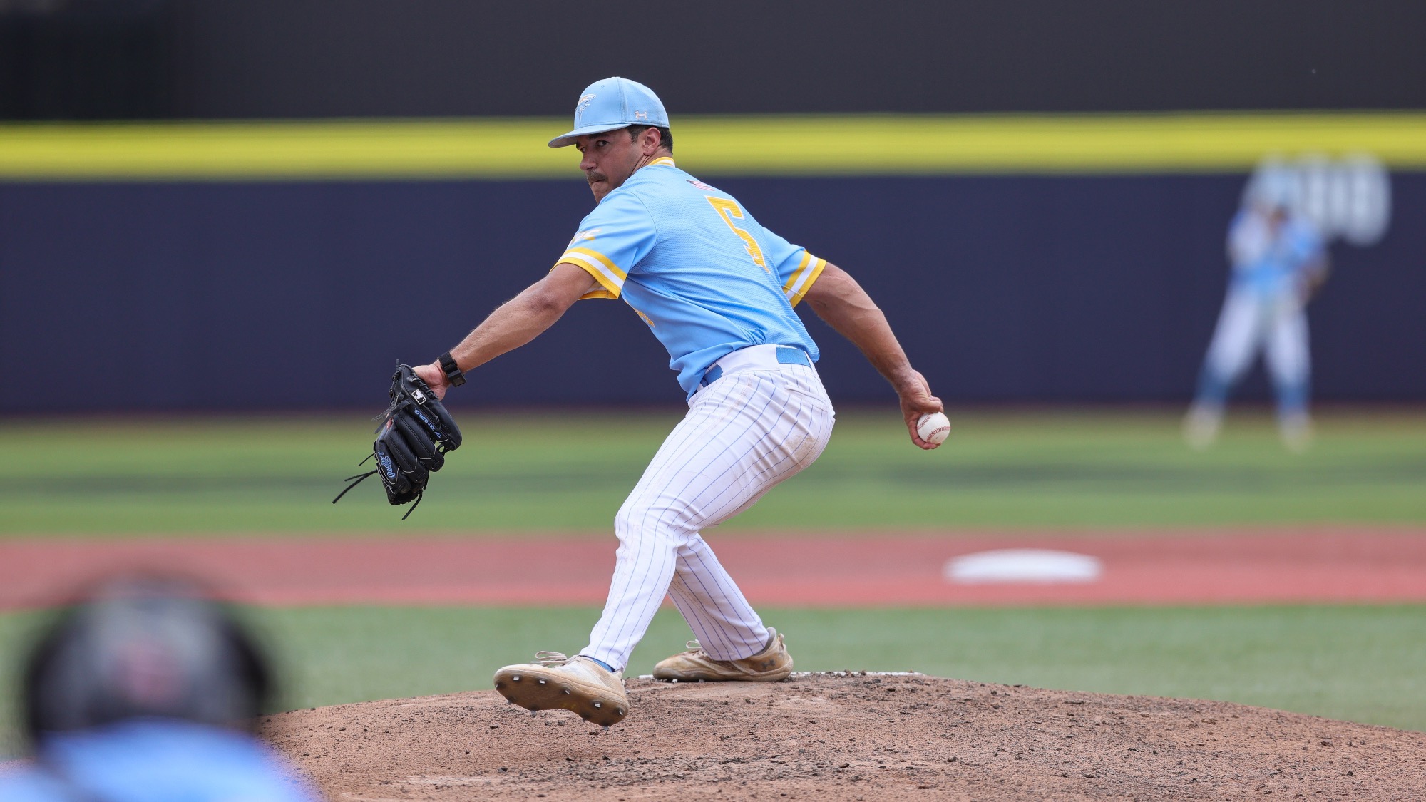 Long Island University Athletics