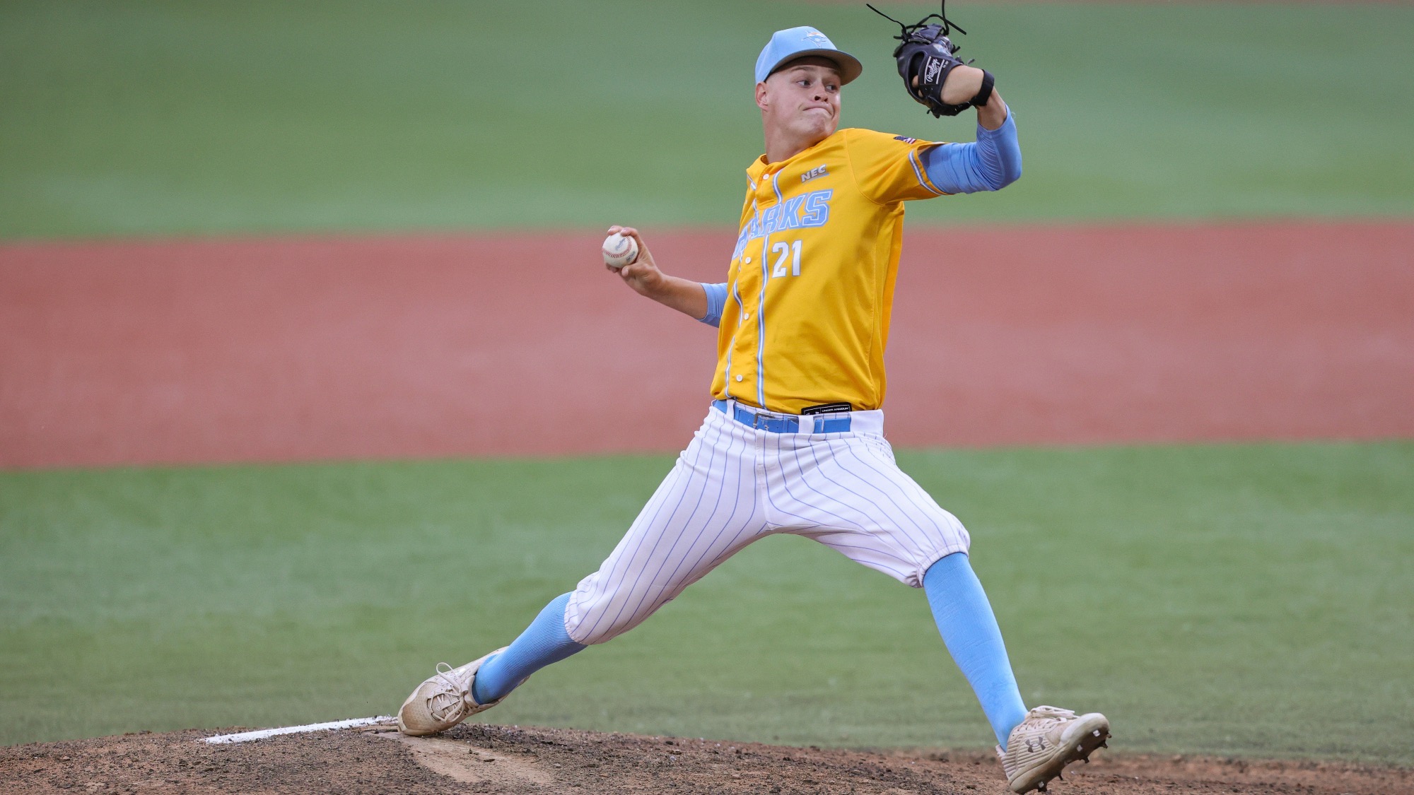 Long Island University Athletics