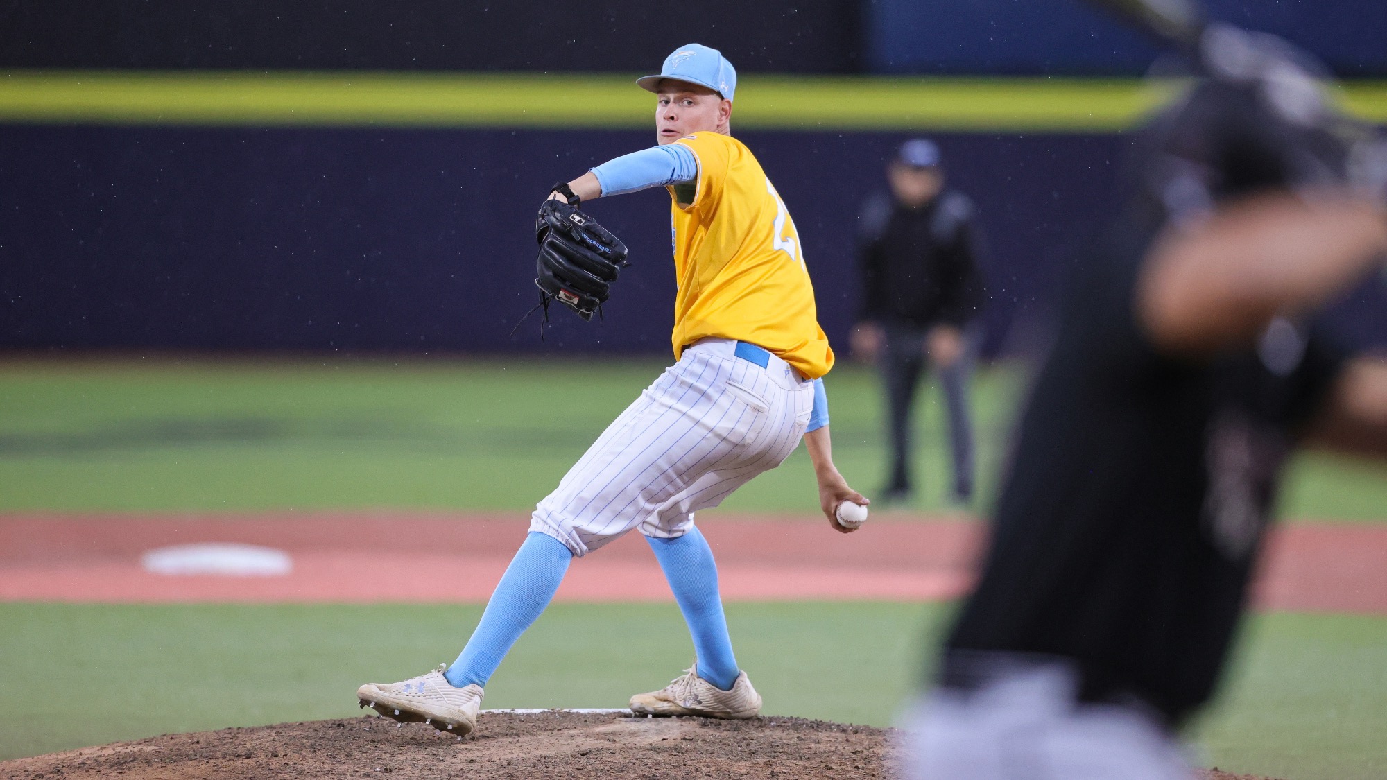 Long Island University Athletics