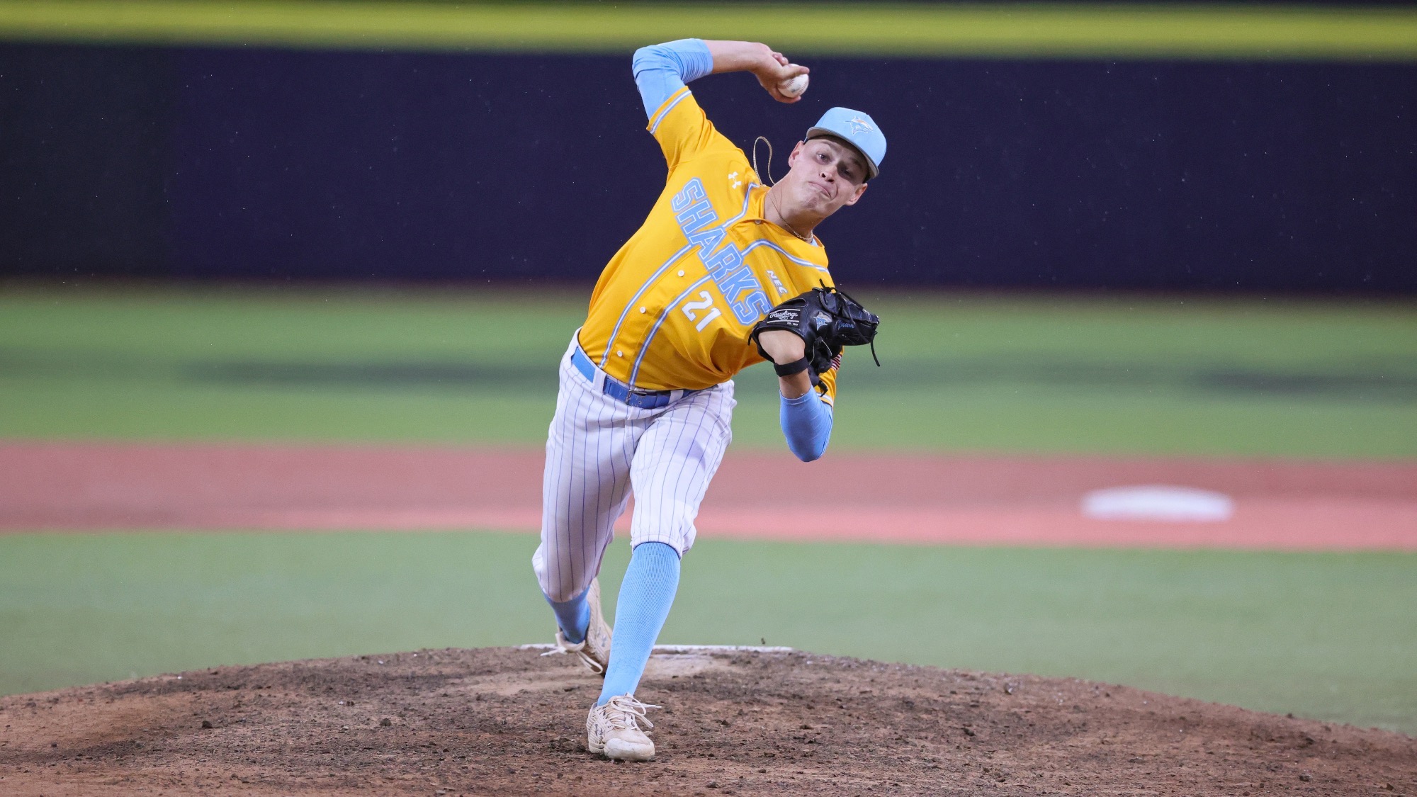 Long Island University Athletics