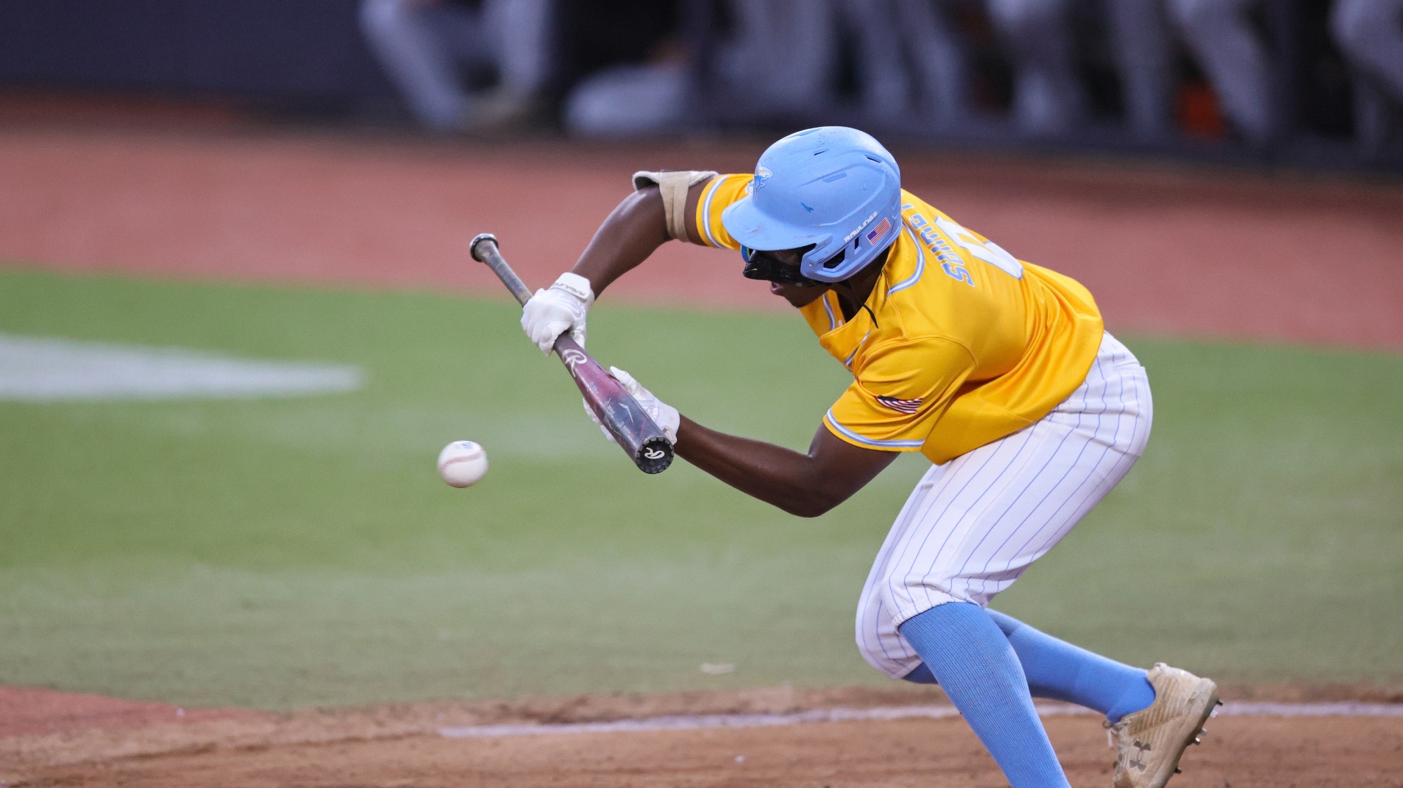 Long Island University Athletics