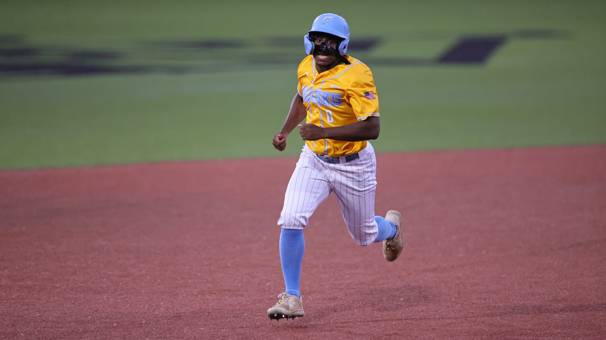 Long Island University Athletics