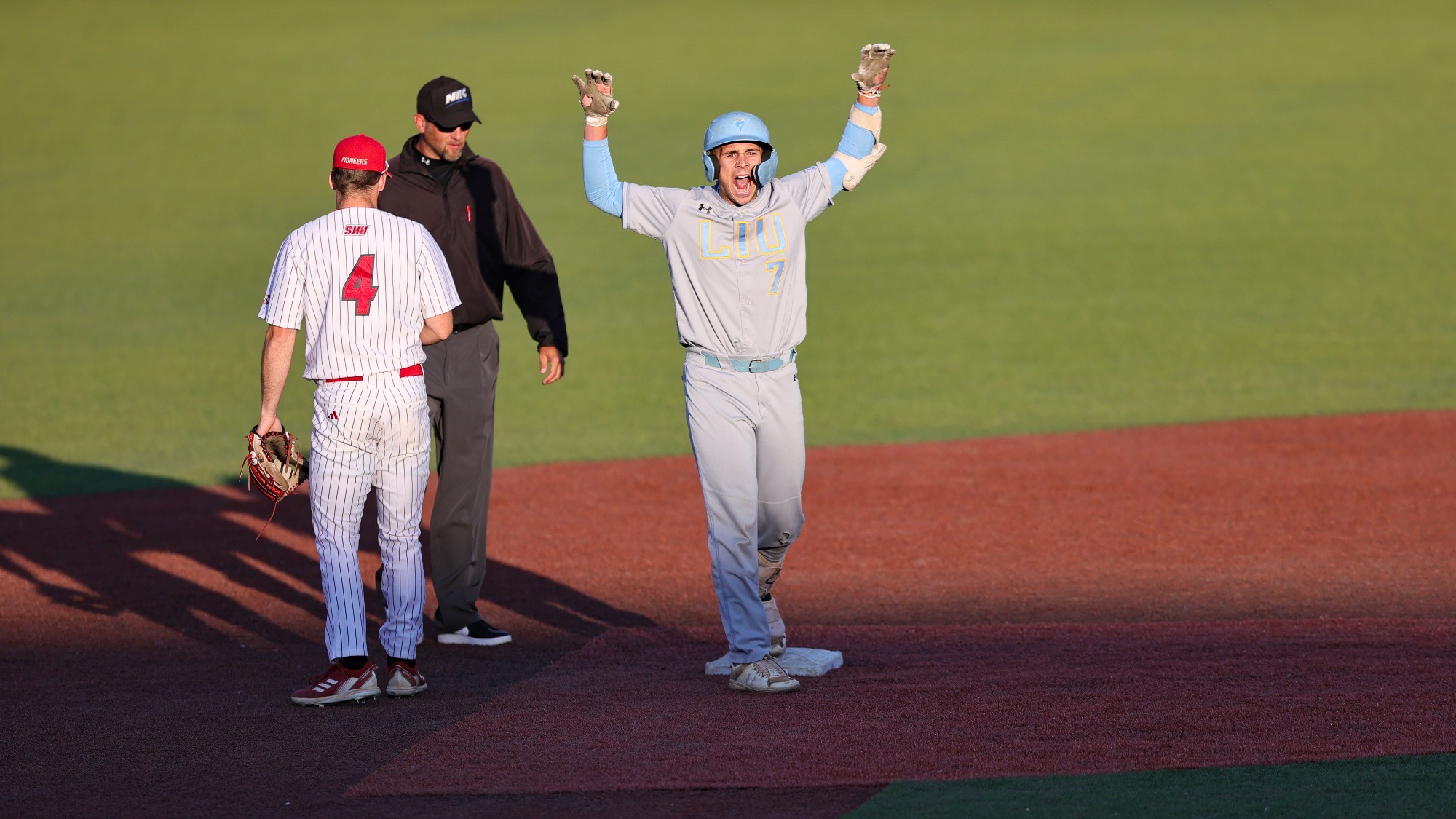 Long Island University Athletics