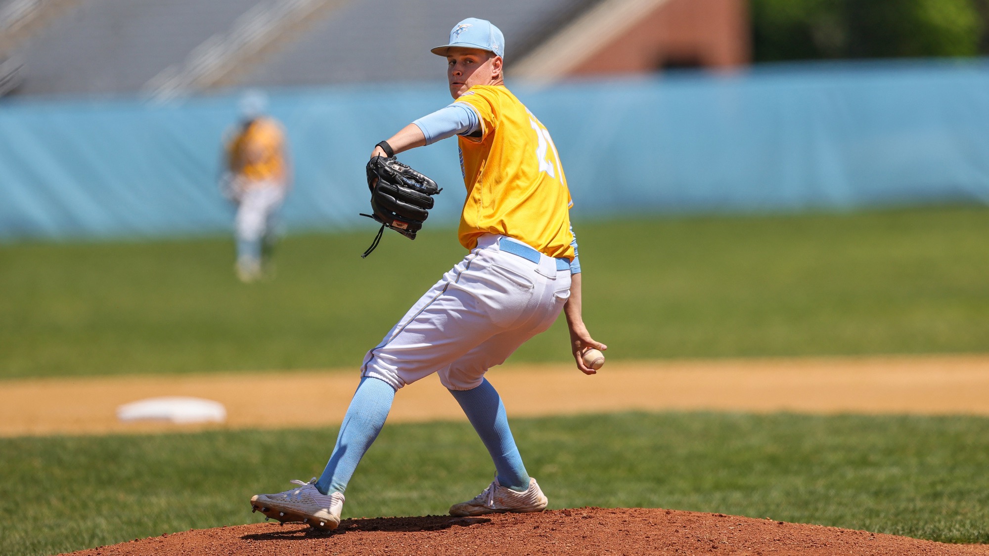 Long Island University Athletics