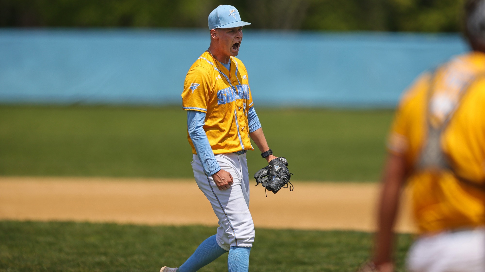 Long Island University Athletics