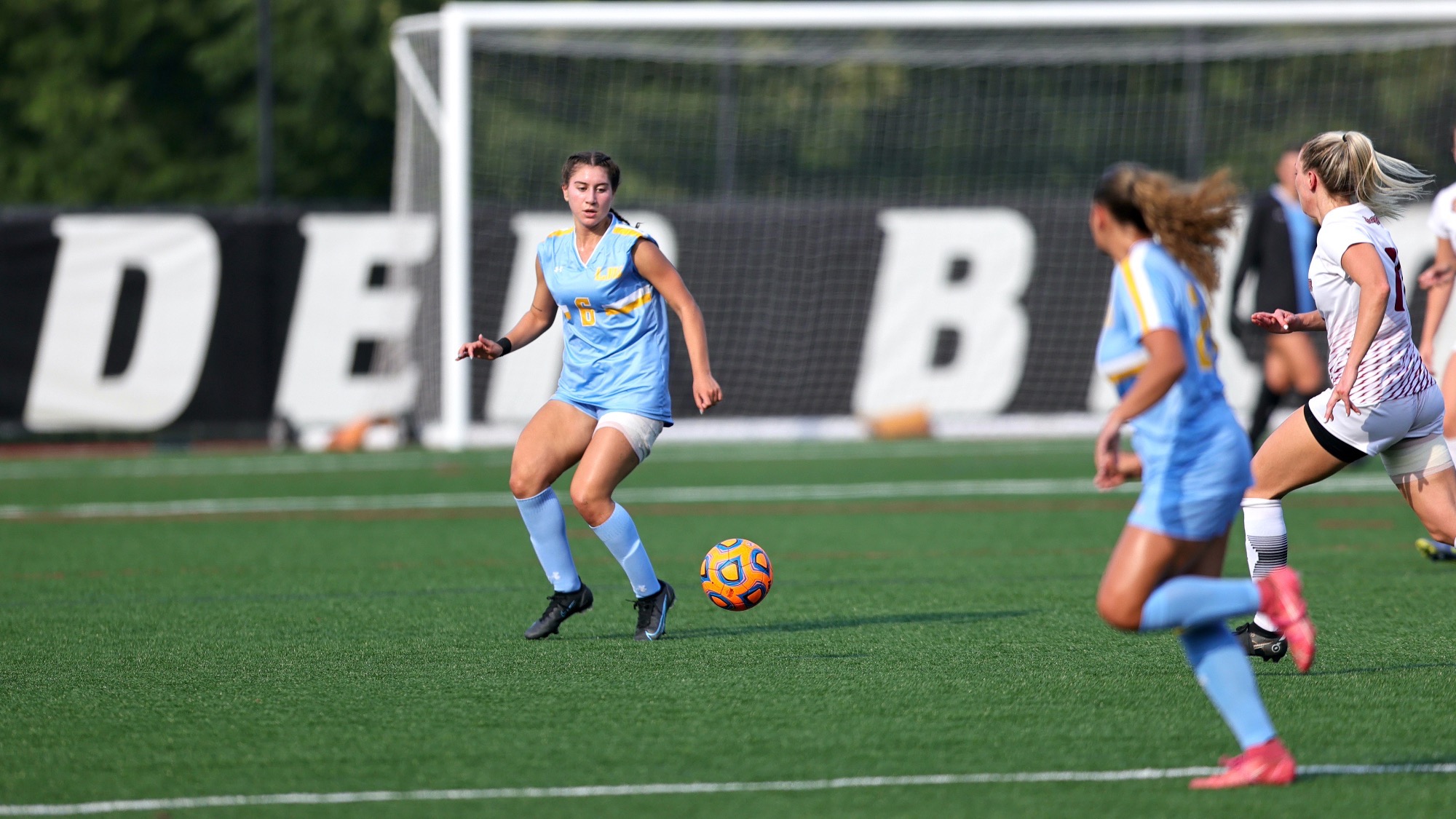 Long Island University Athletics