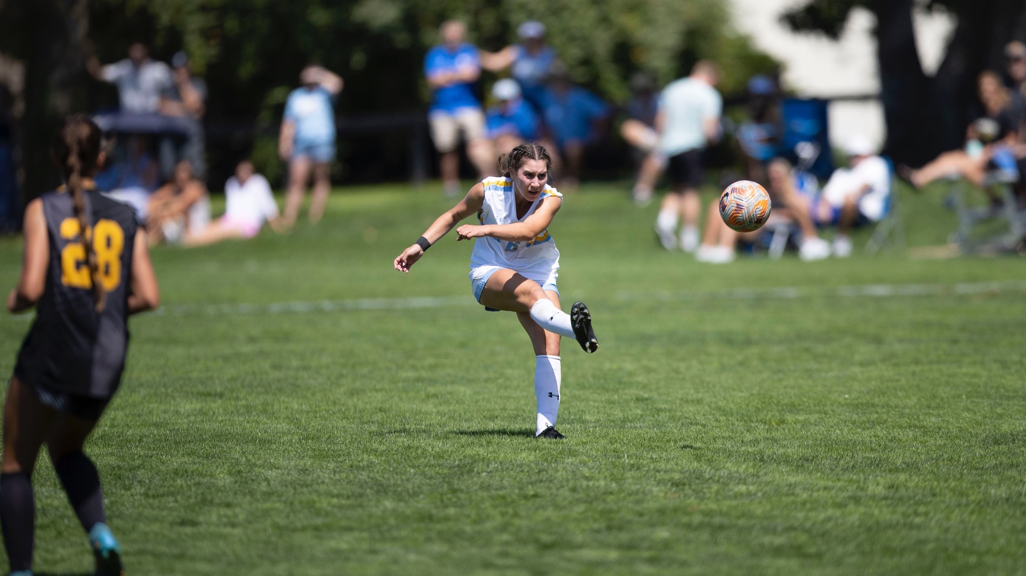 Long Island University Athletics