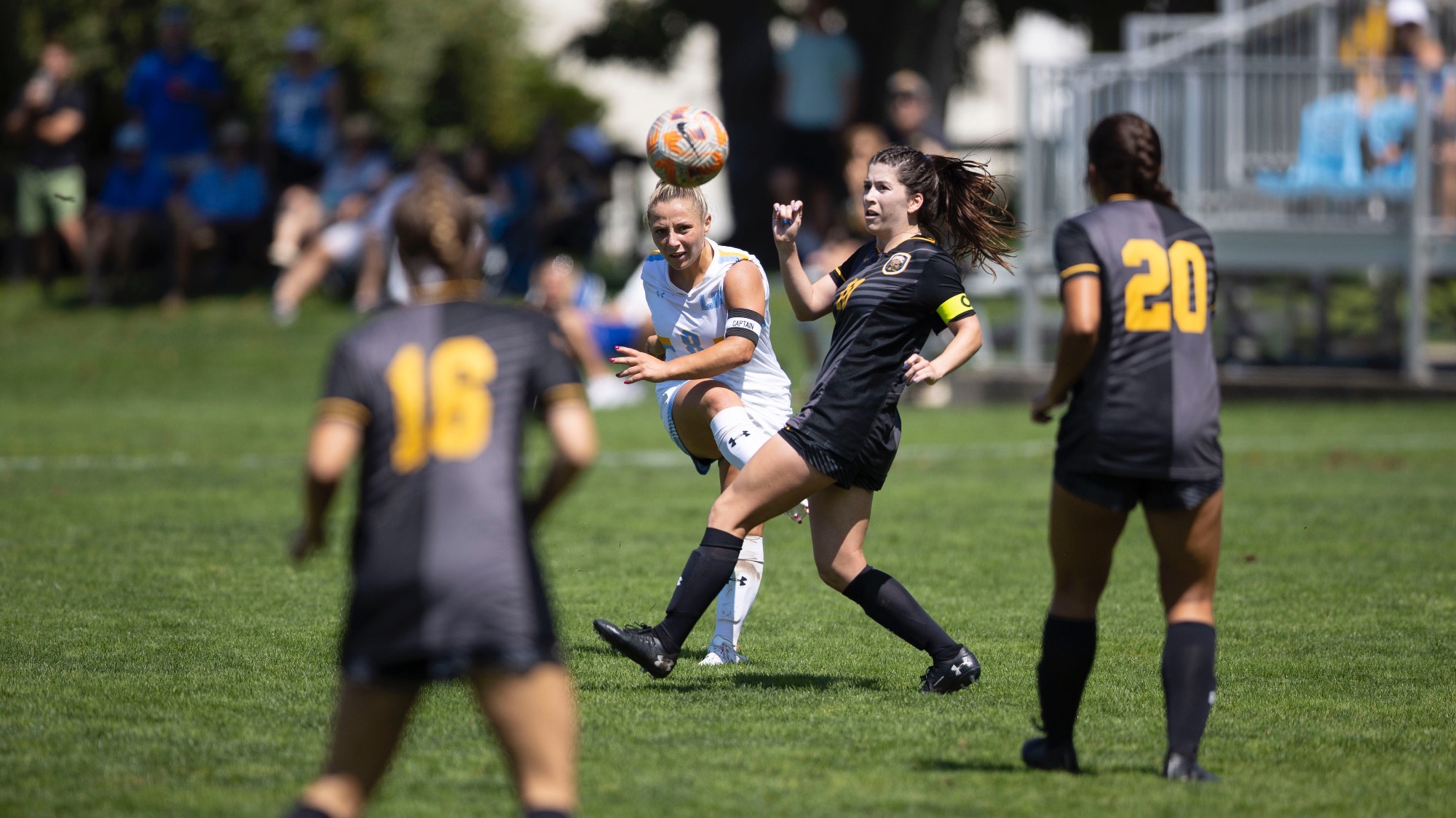 Long Island University Athletics