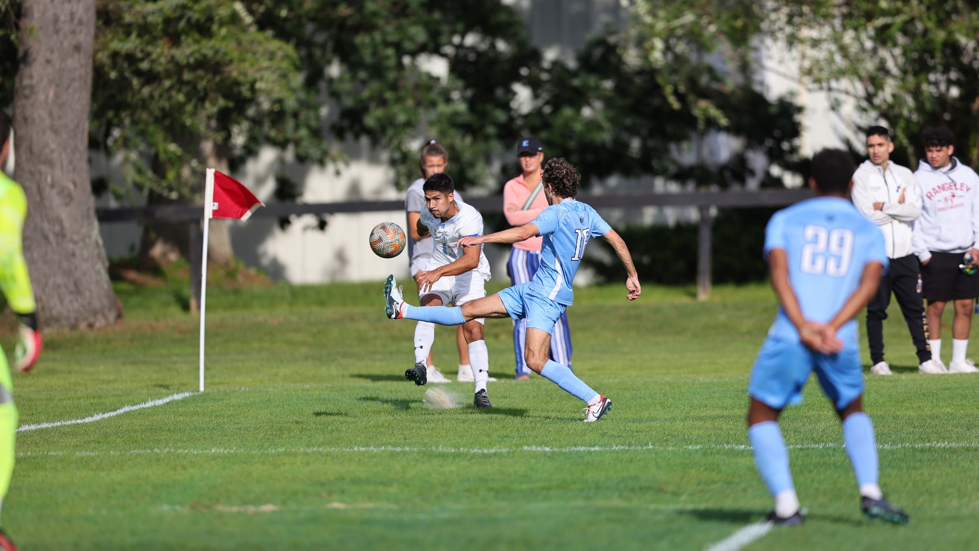 Long Island University Athletics