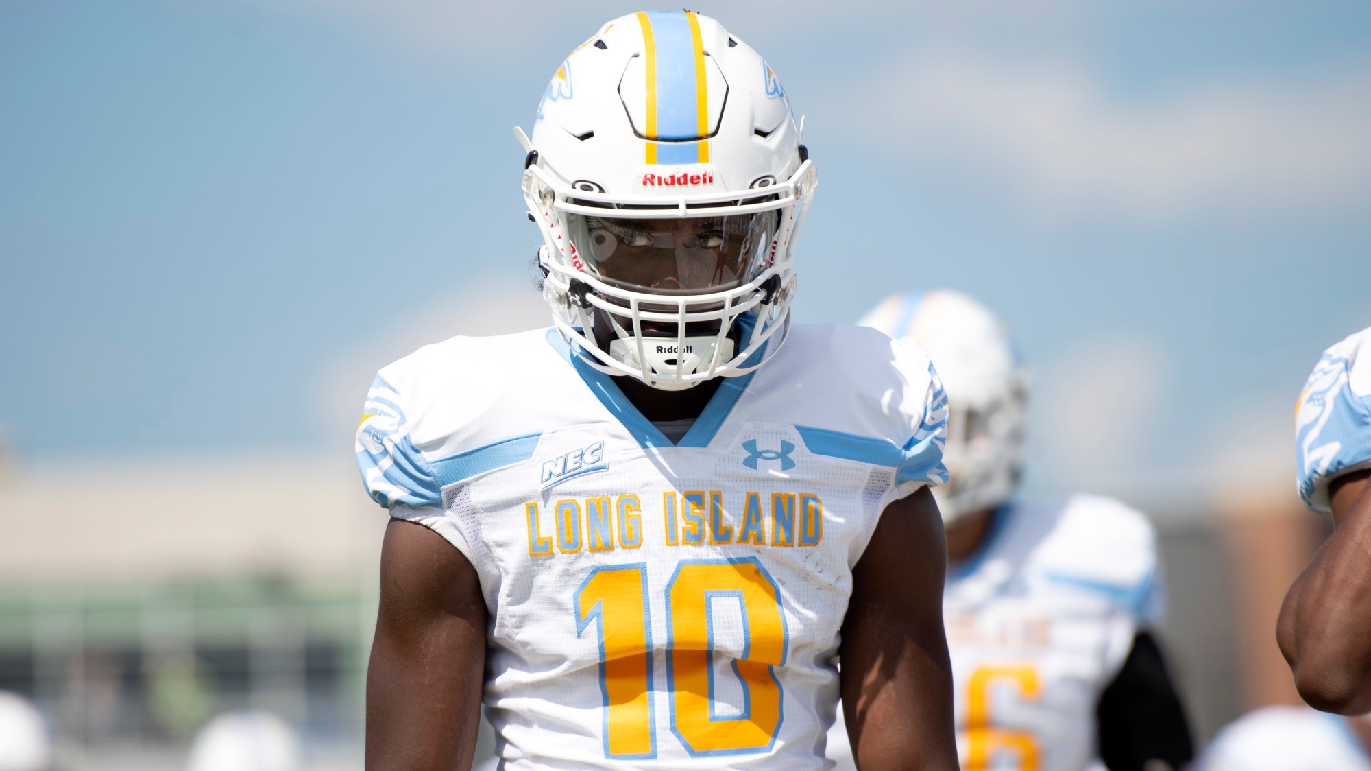 Long Island University Athletics