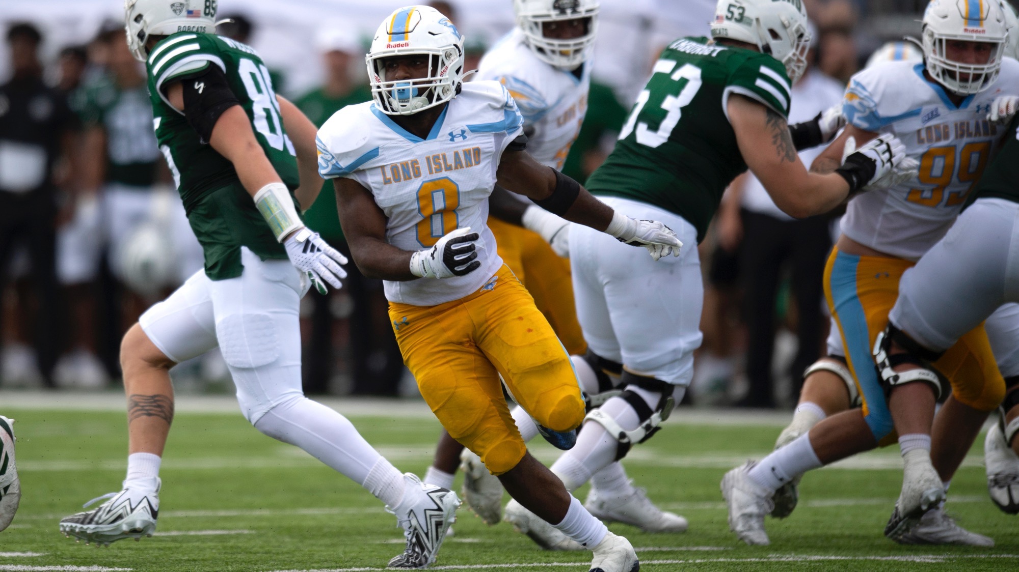 Long Island University Athletics