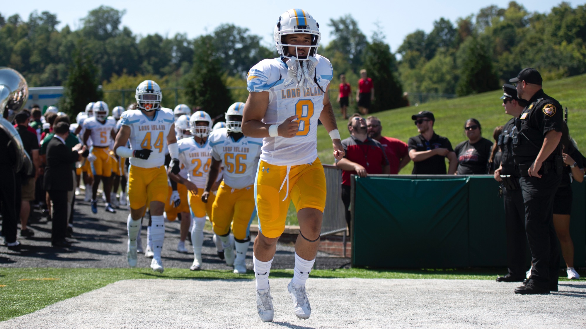 Long Island University Athletics