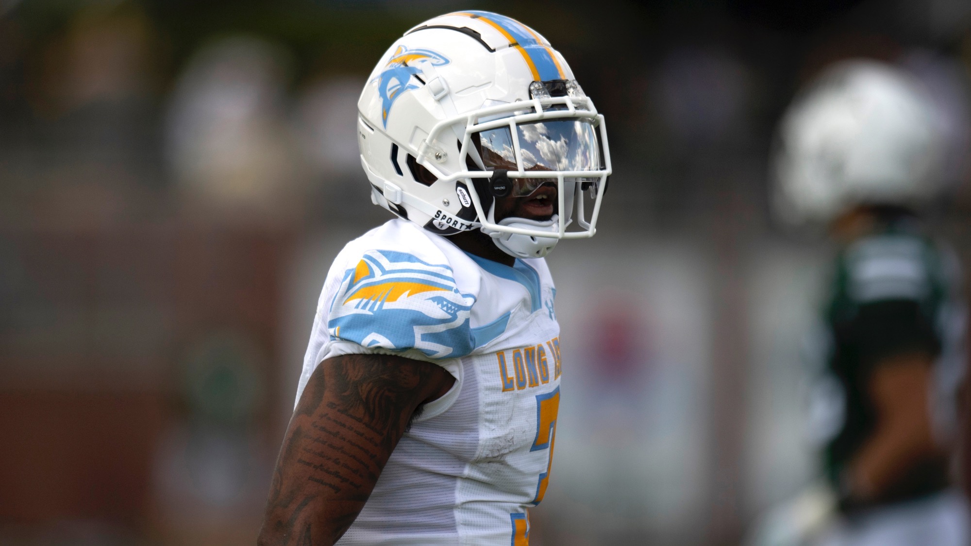 Long Island University Athletics