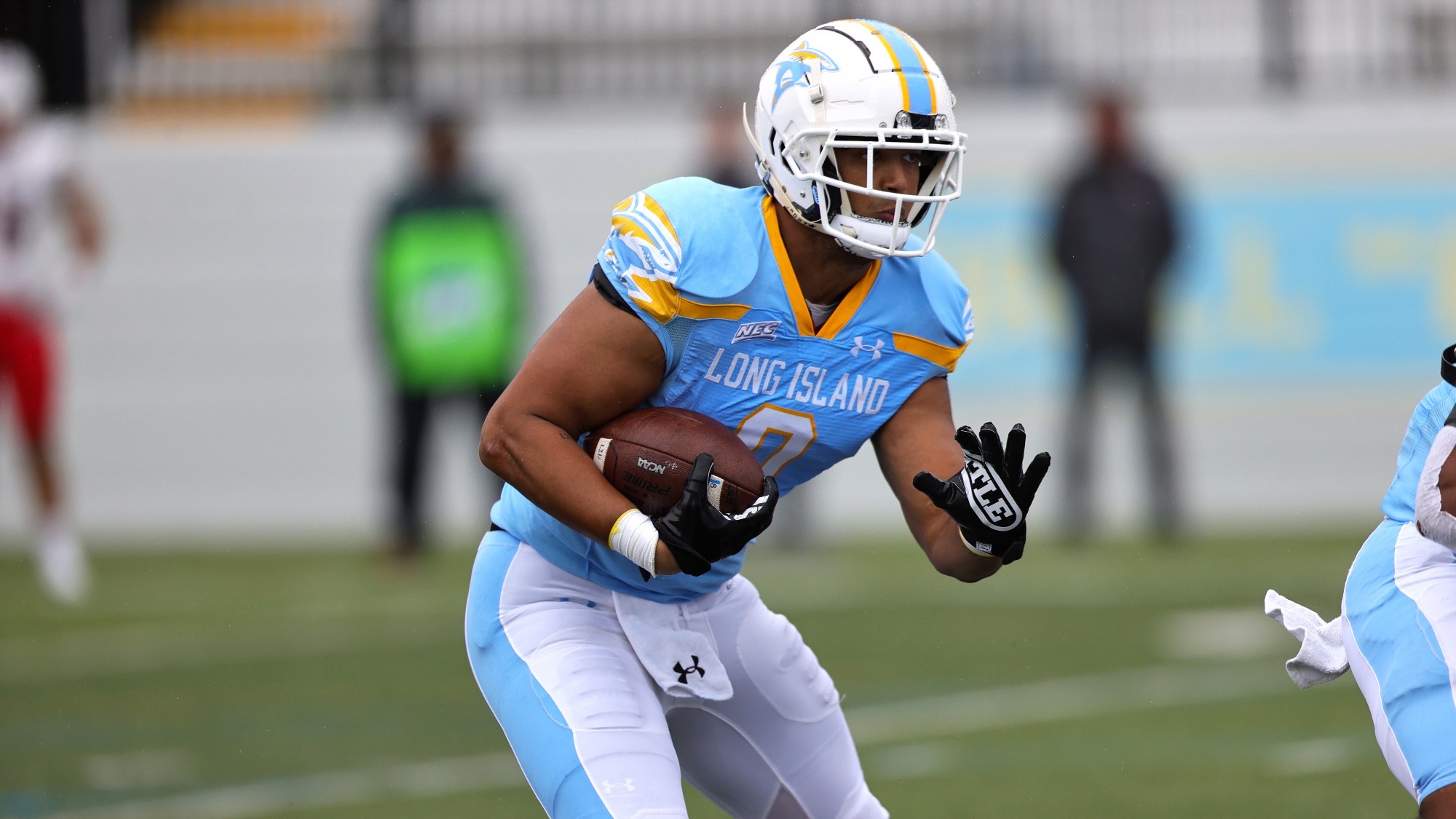 Long Island University Athletics