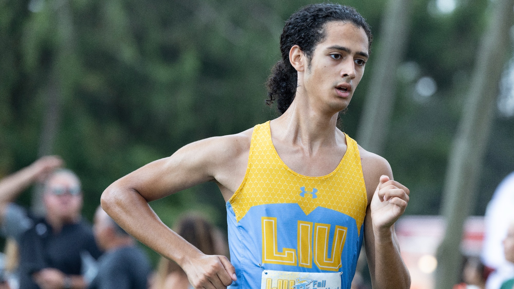 Long Island University Athletics