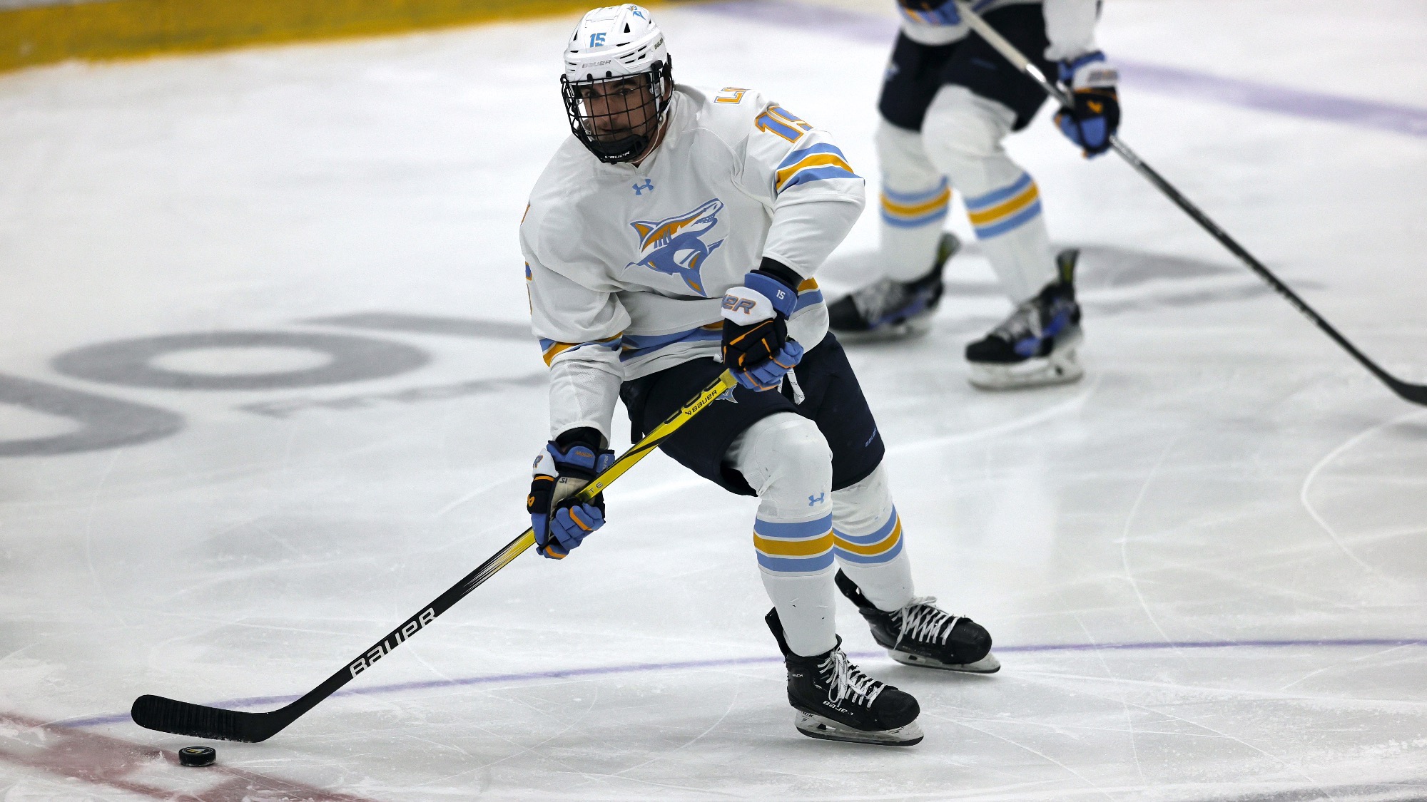 Long Island University Athletics