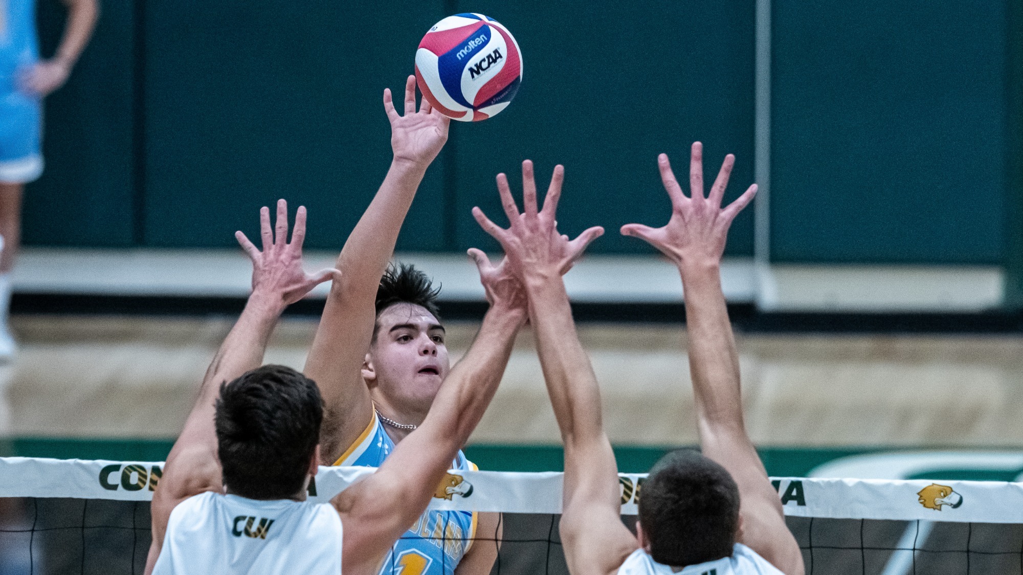 Long Island University Athletics