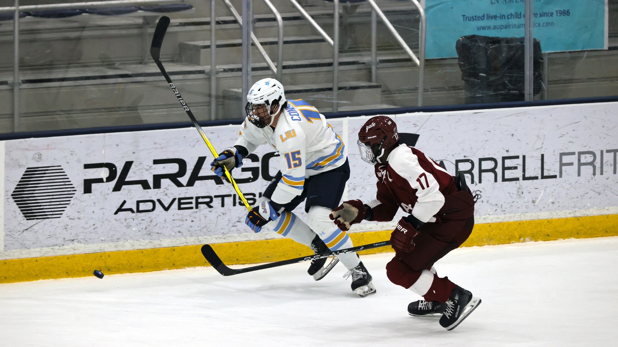 Long Island University Athletics