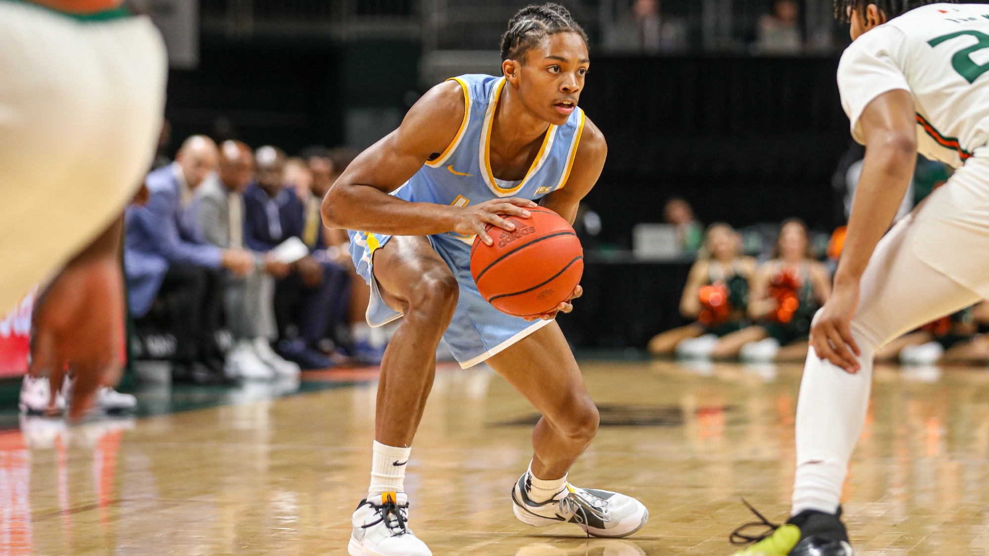 Long Island University Athletics