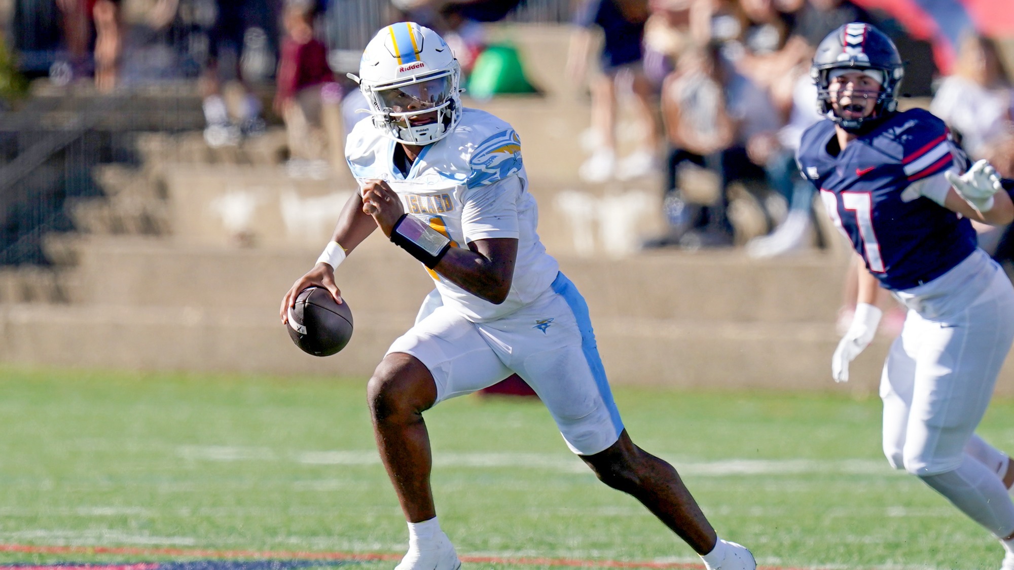 Long Island University Athletics