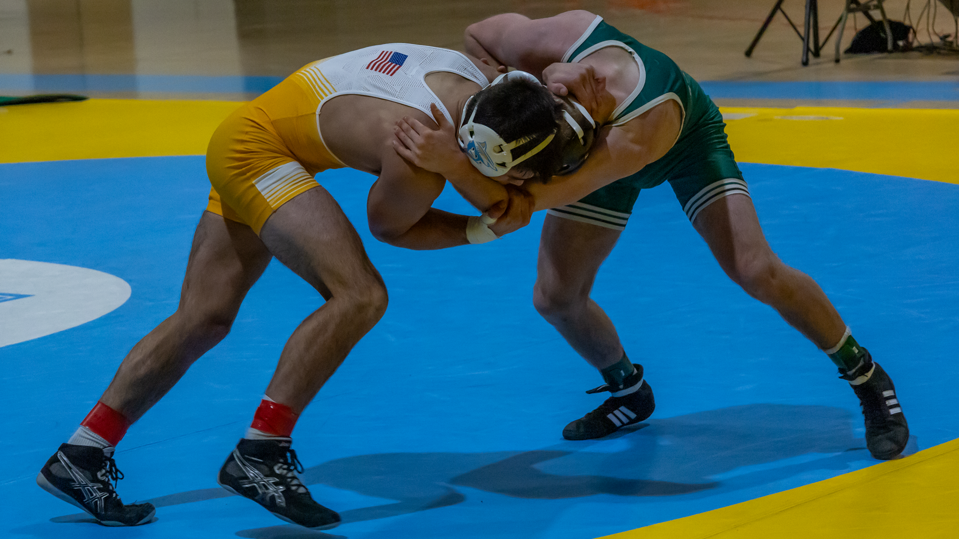 Long Island University Athletics