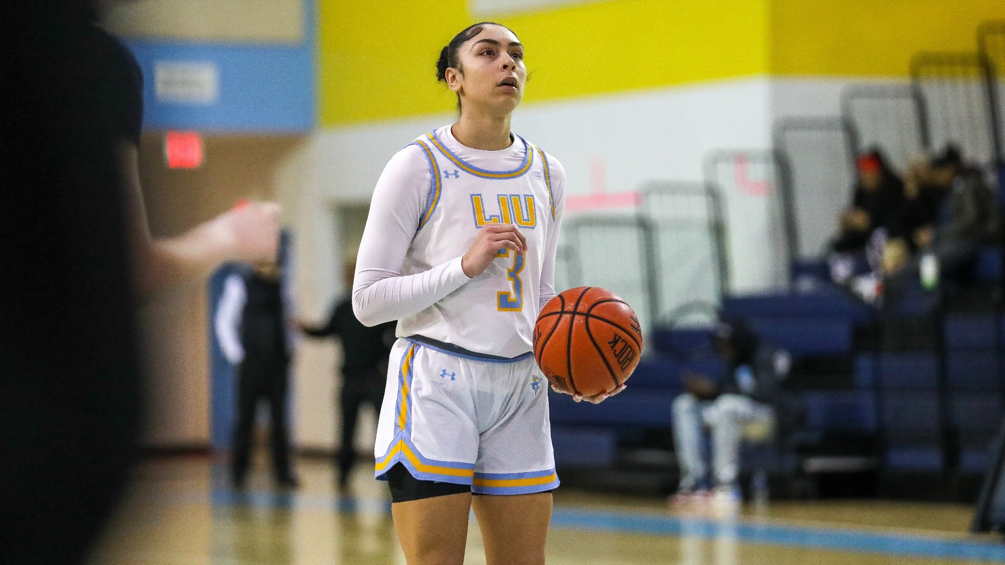 Long Island University Athletics