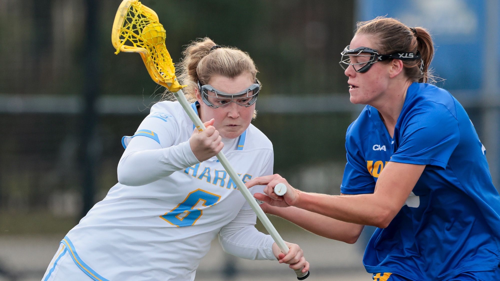 Long Island University Athletics