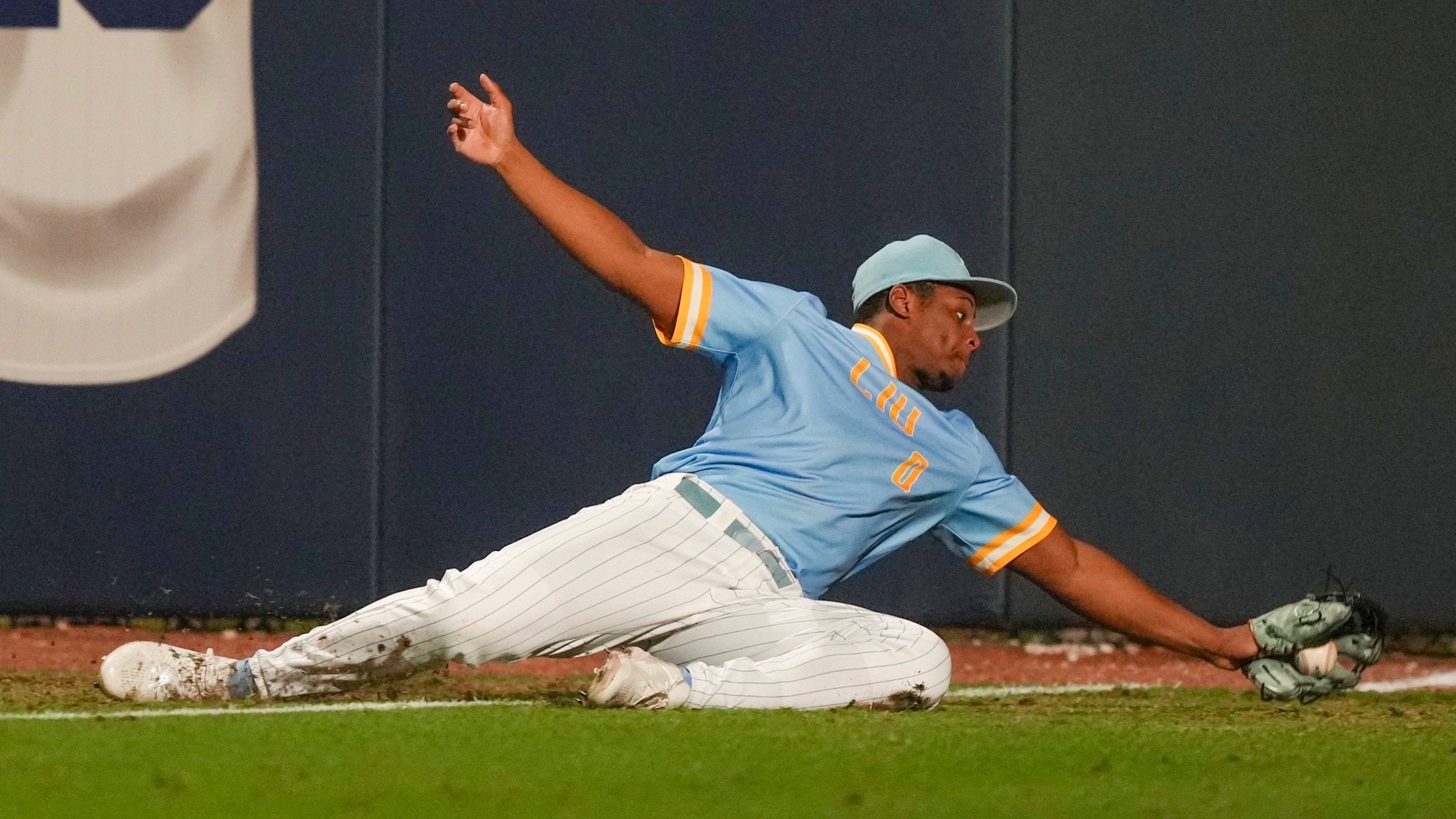 Long Island University Athletics