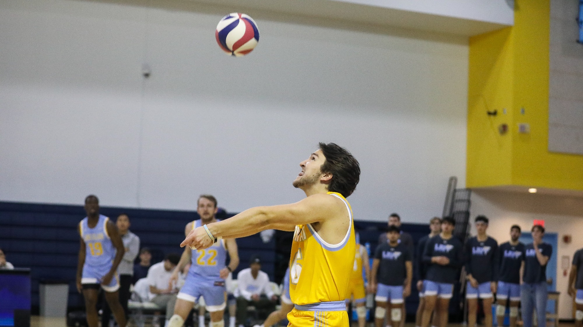 Long Island University Athletics