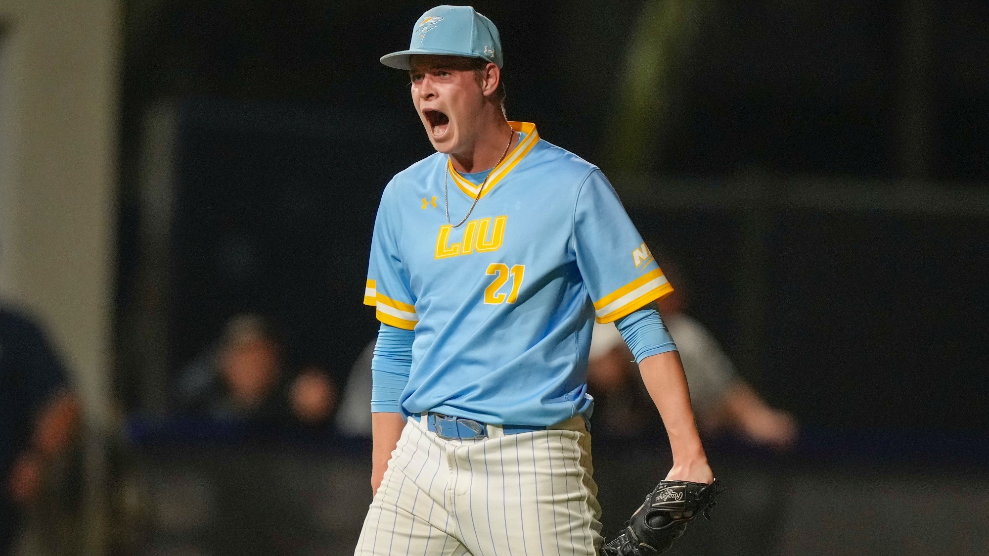 Long Island University Athletics