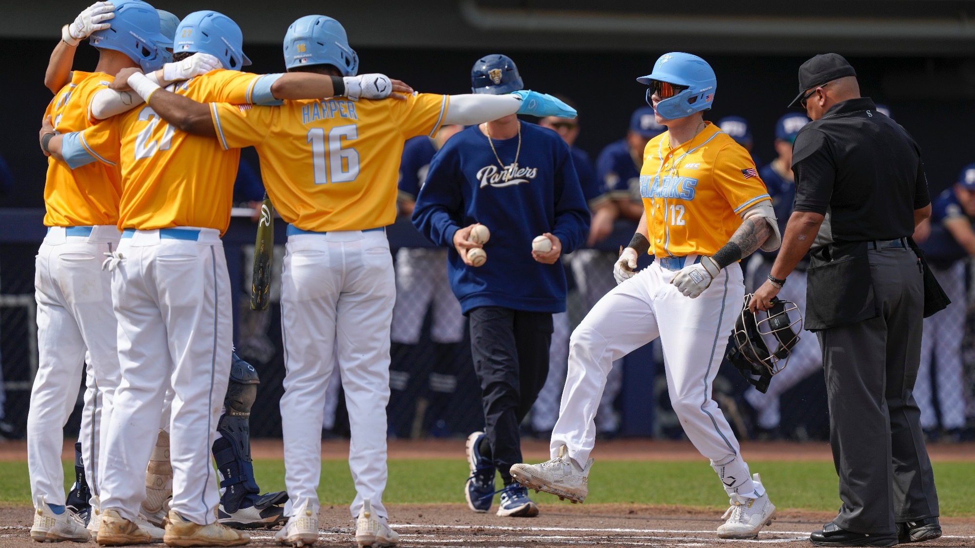 Long Island University Athletics