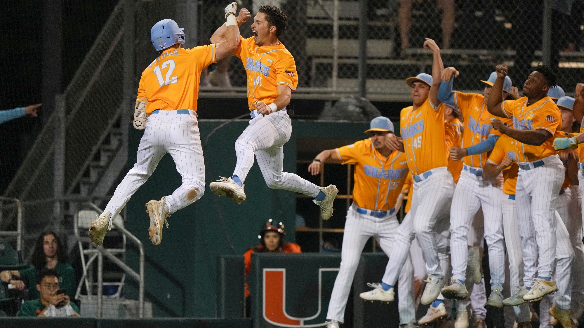 Long Island University Athletics